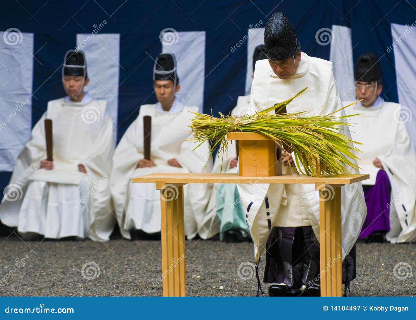 Rice harvest ceremony editorial photography. Image of event - 14104497