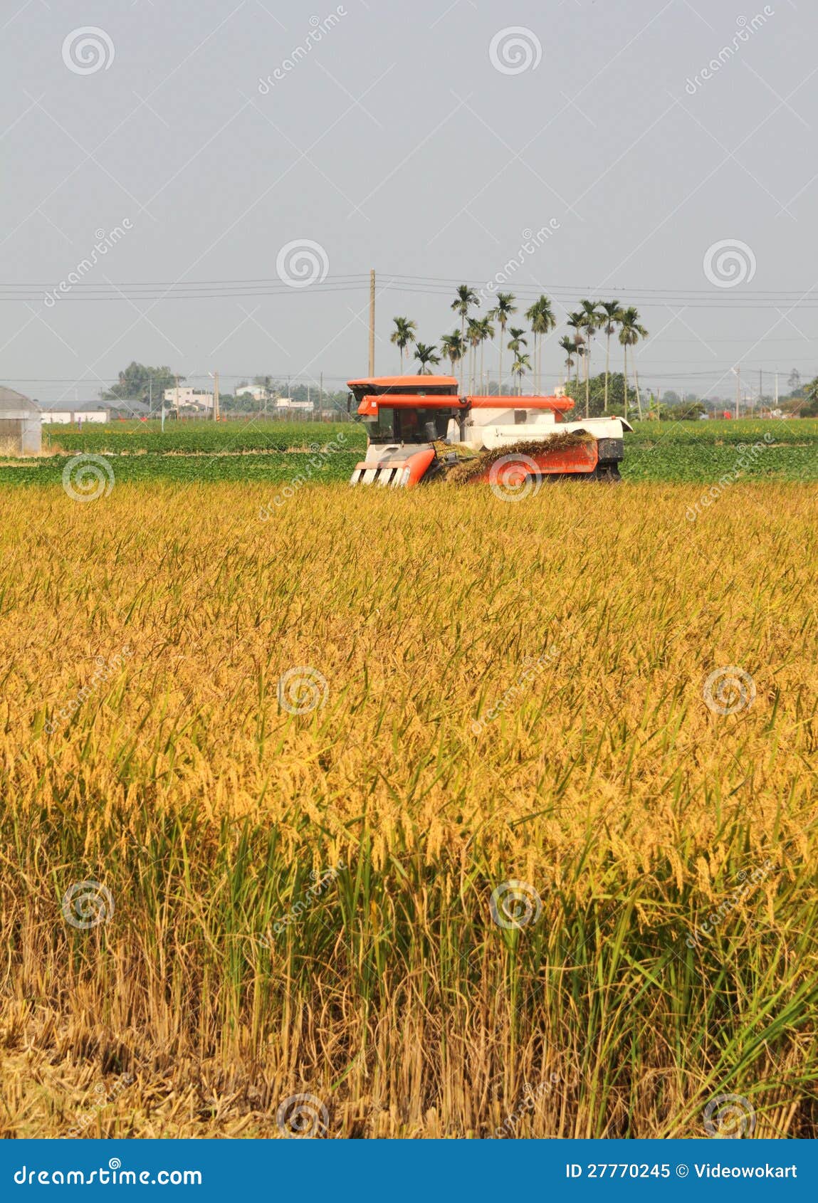 Rice harvester stock image. Image of grain, machinery - 27770245
