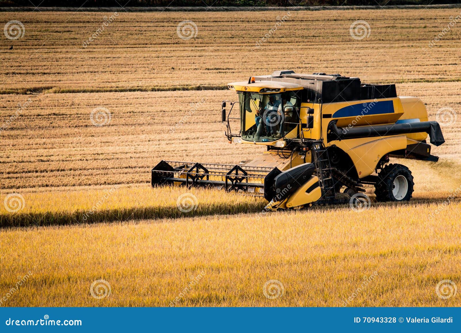 Rice Harvester, Middle View Stock Photo - Image of tractor, landscape ...