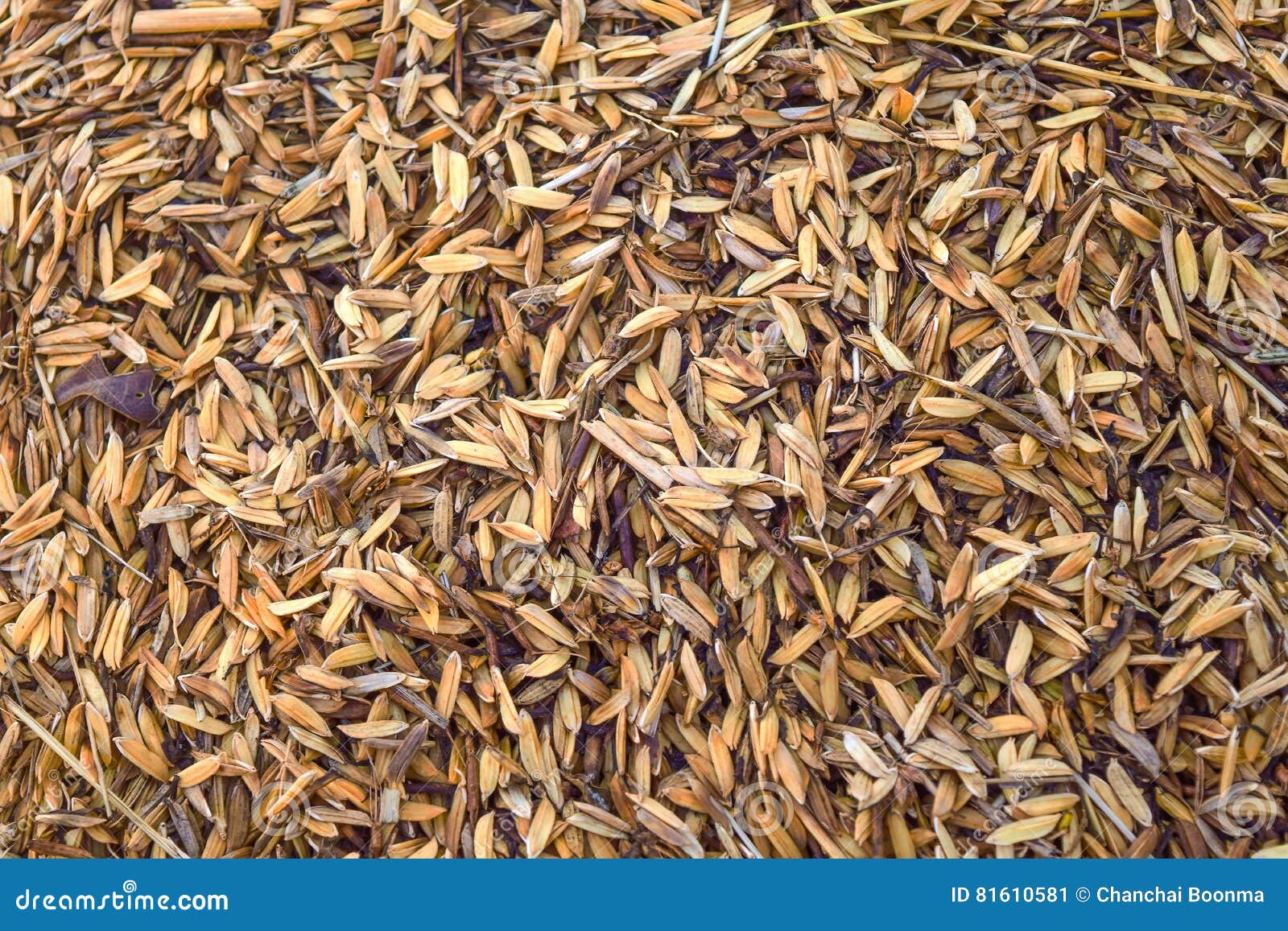 Rice hulls stock image. Image of excess, dryness, east - 81610581