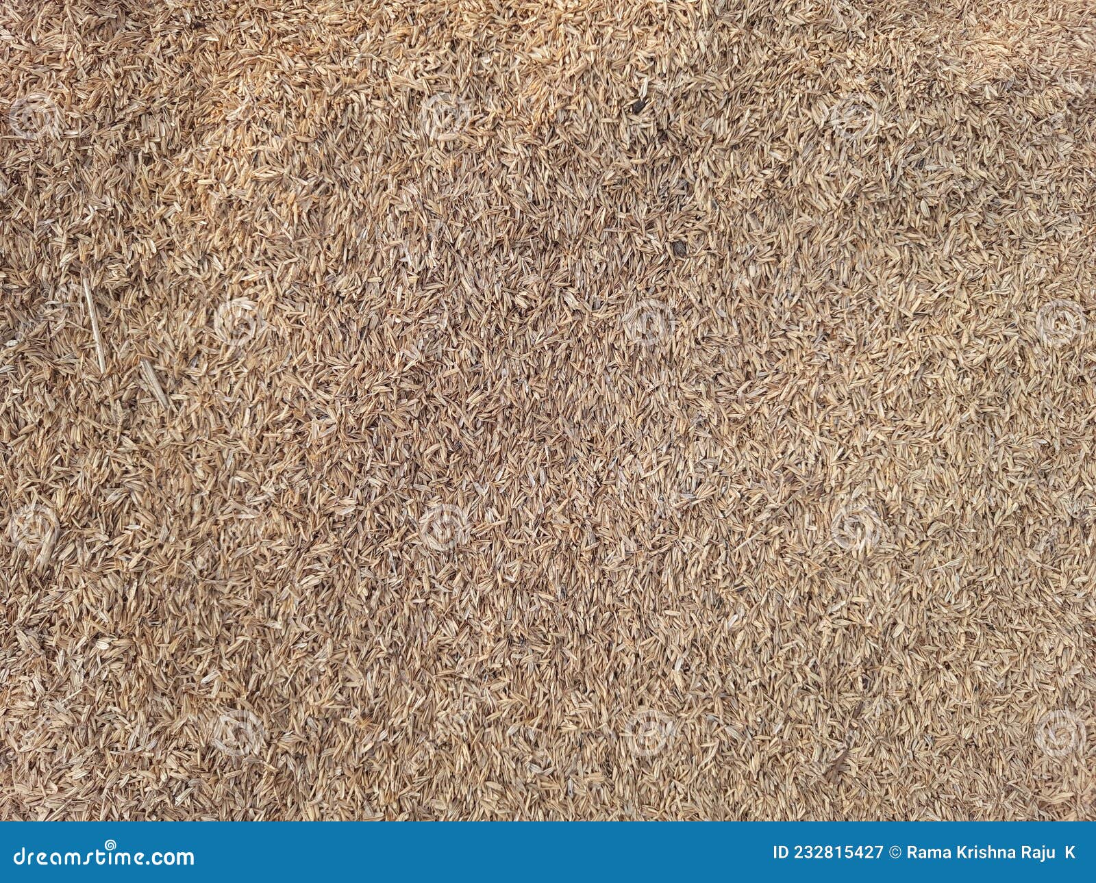 Rice hulls or husk texture stock image. Image of tile - 232815427