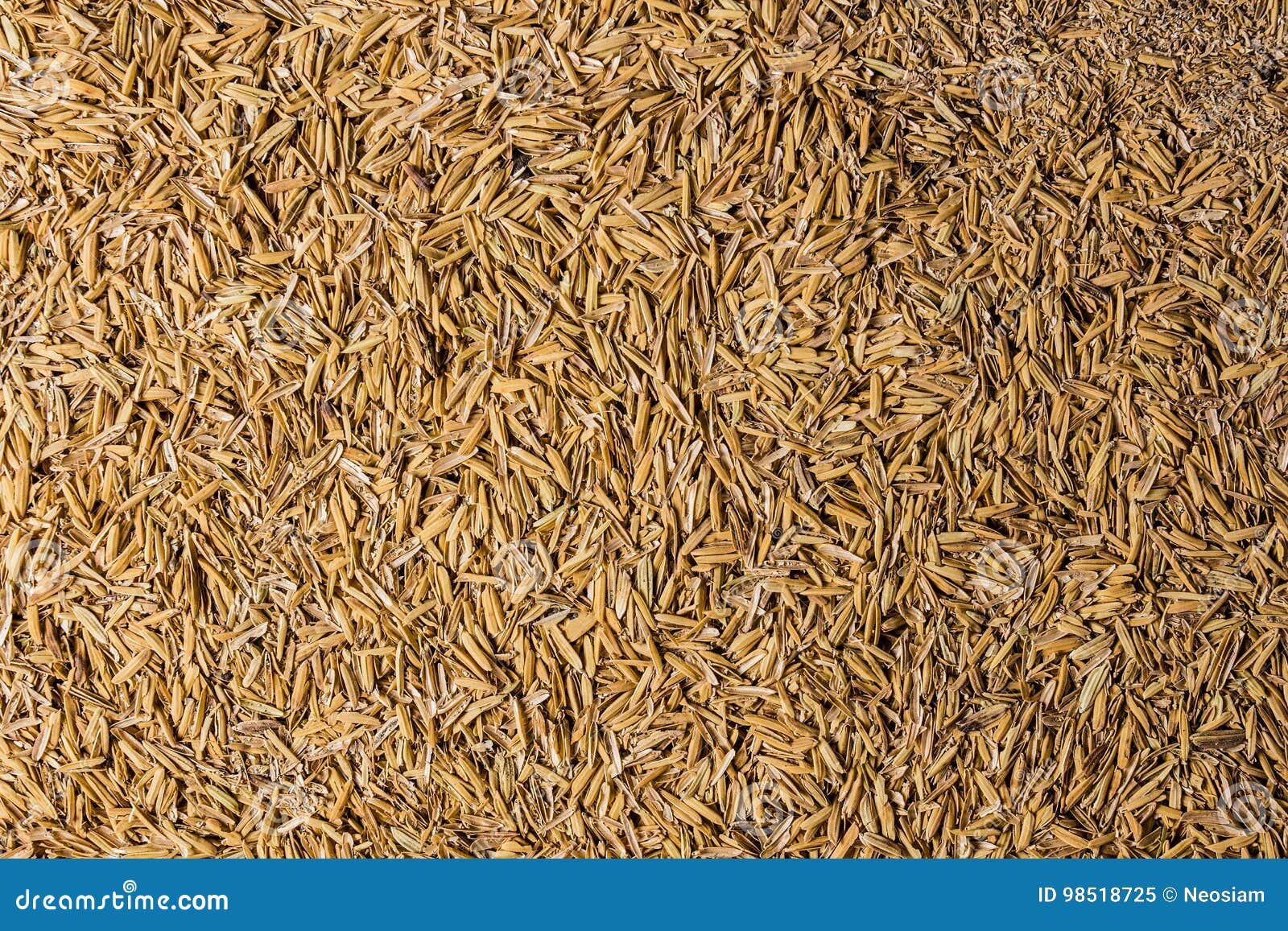 Rice hulls stock image. Image of agriculture, hull, backdrop - 98518725