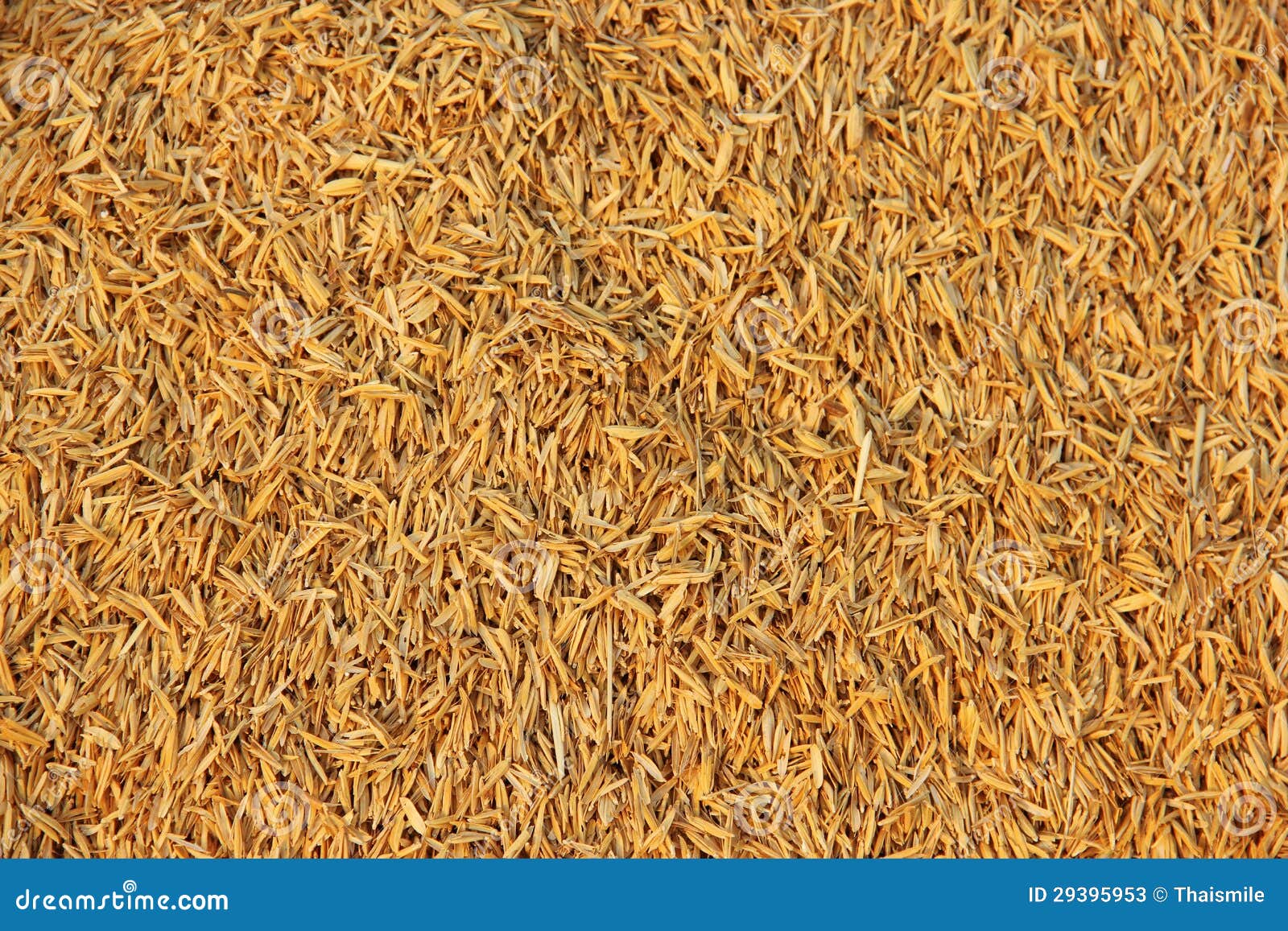 Rice husk. stock image. Image of abstract, nature, cultivation - 29395953