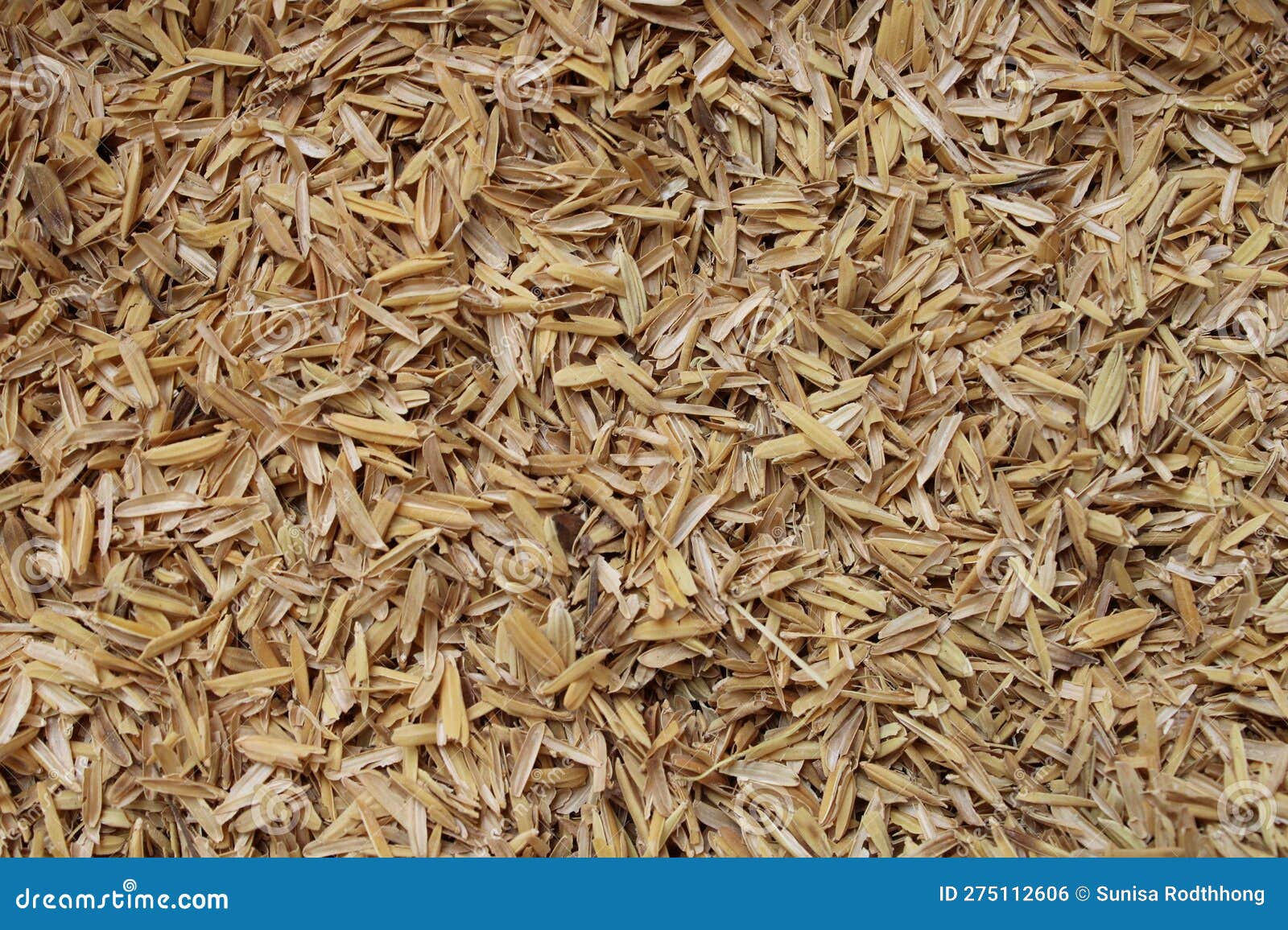 Rice husk background stock photo. Image of abstract - 275112606