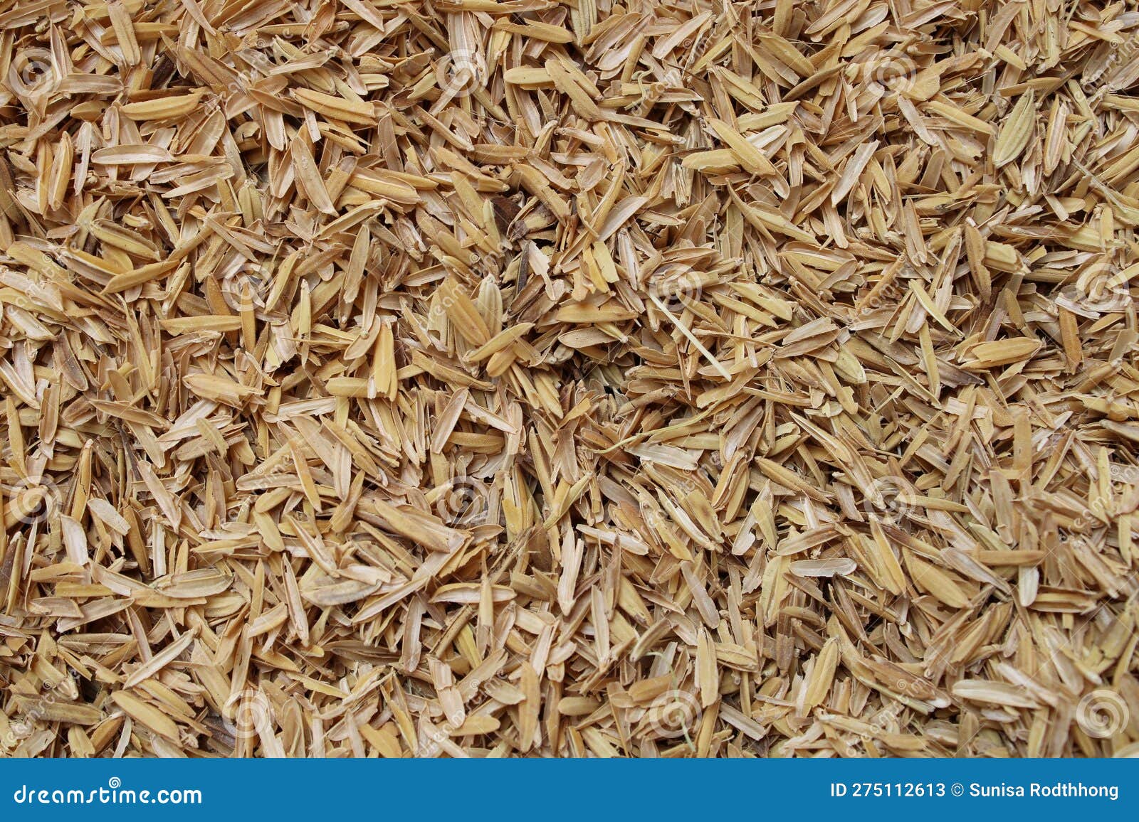 Rice husk background. stock image. Image of detail, food - 275112613