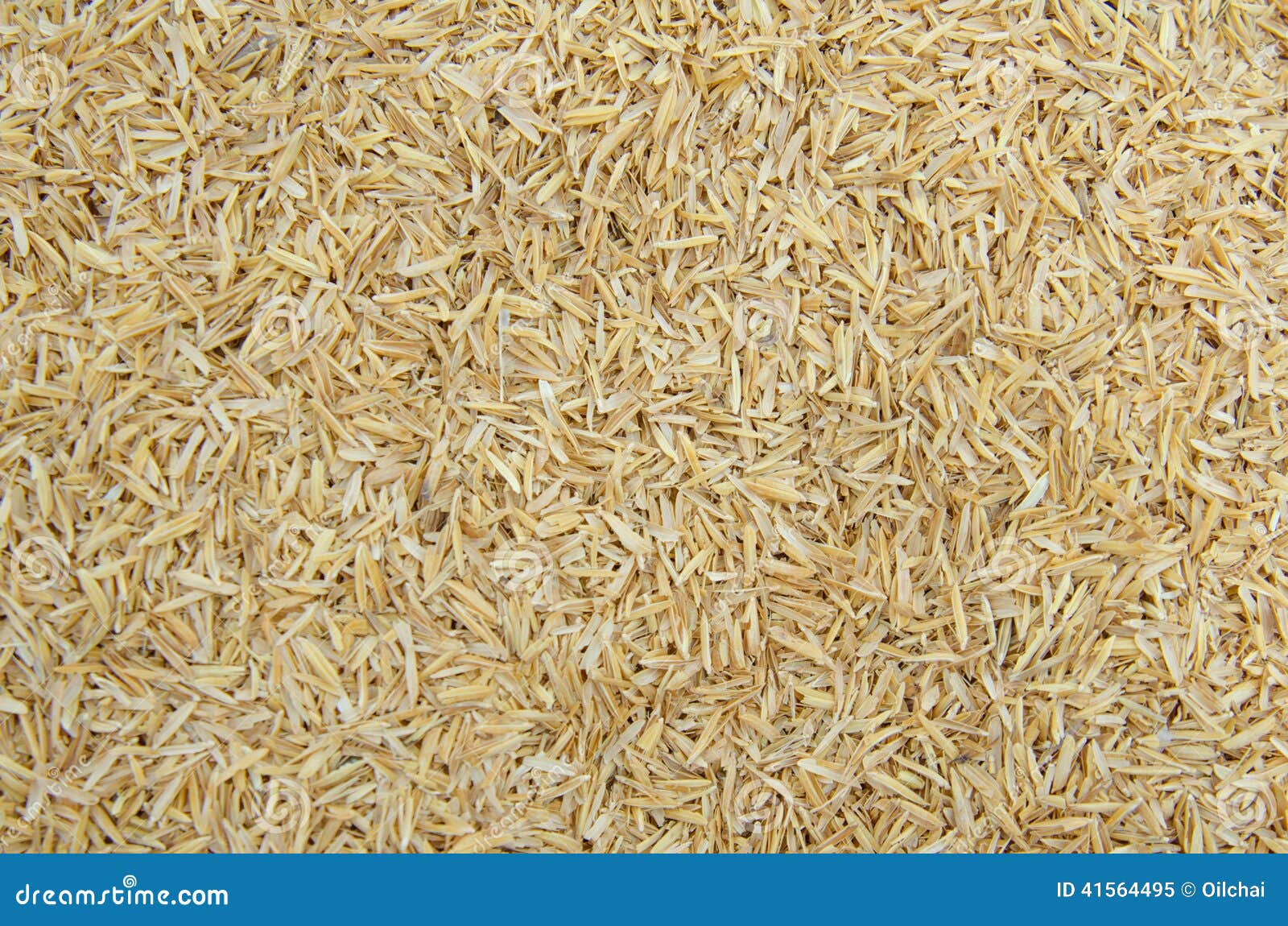 Rice husk stock image. Image of brown, surface, paddy - 41564495
