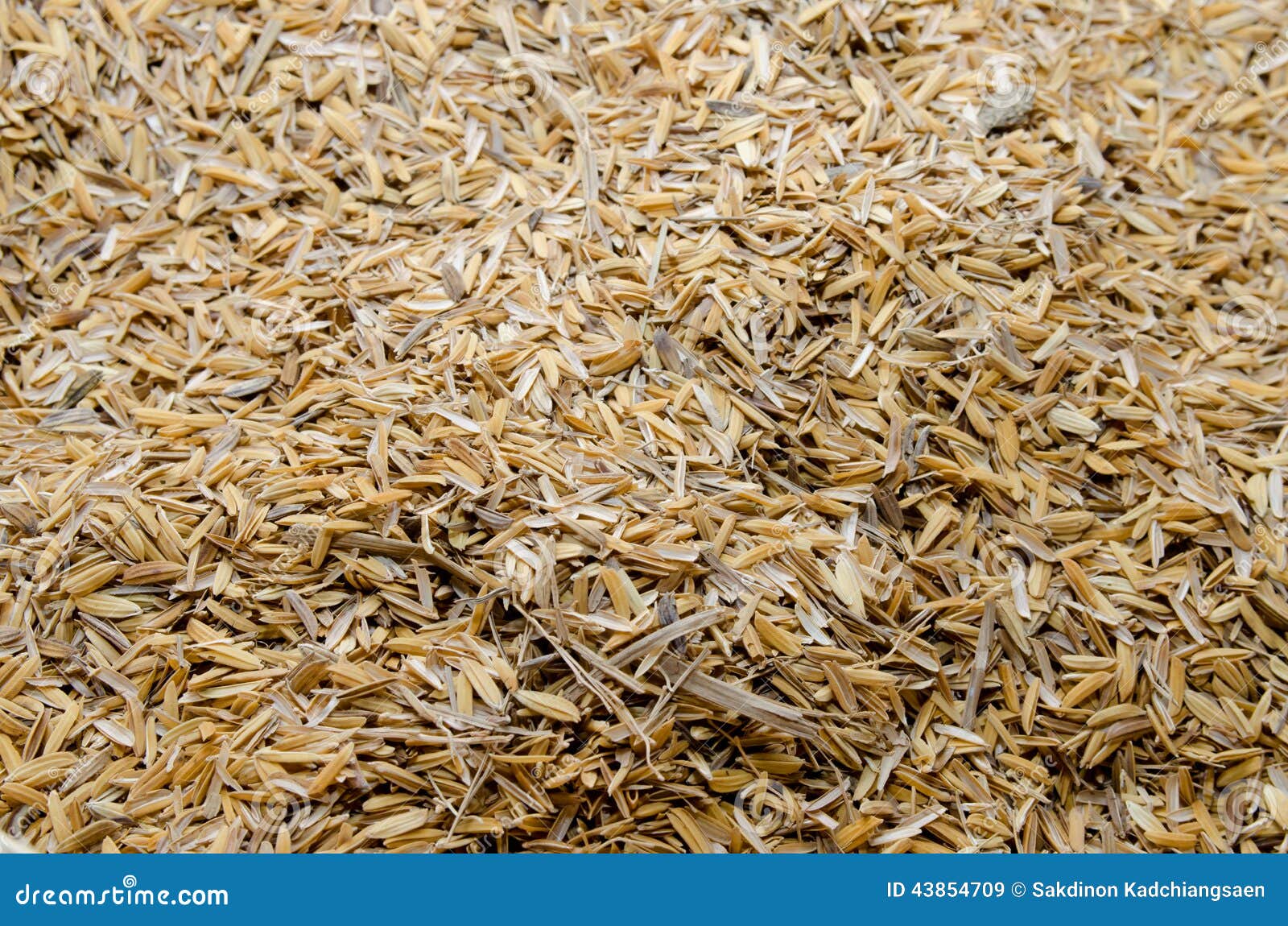 Rice husk stock image. Image of multiple, cereal, natural - 43854709