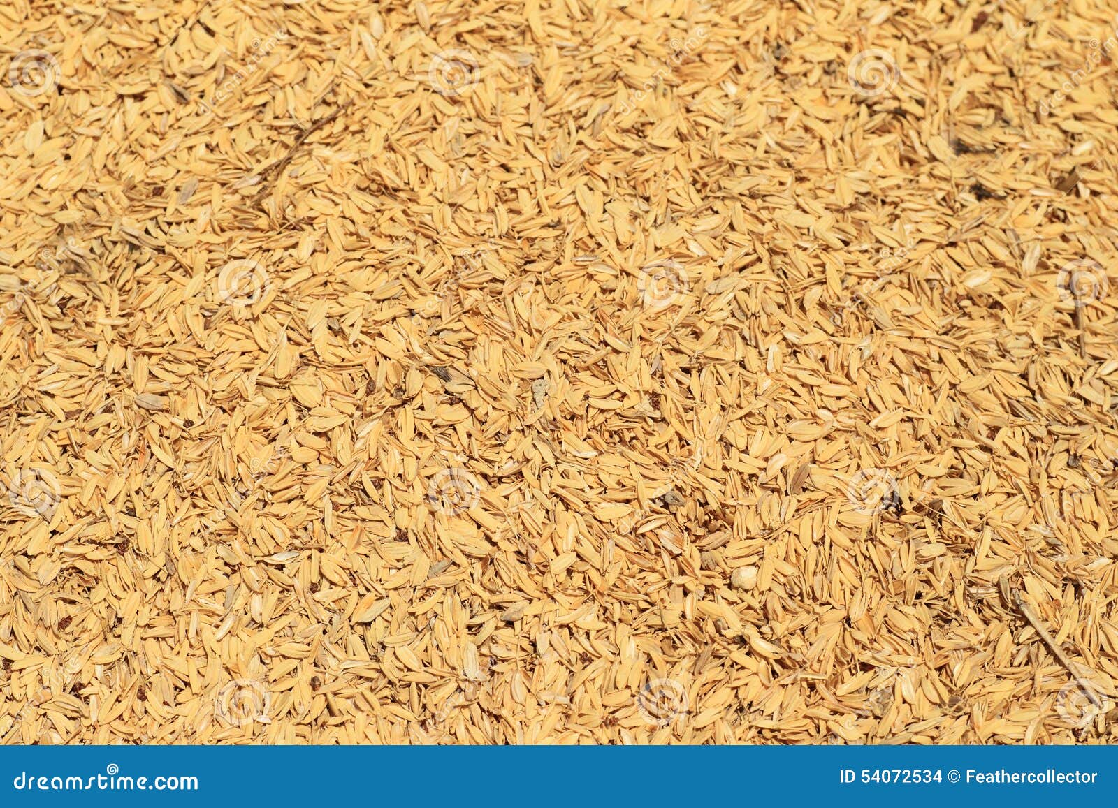 Chaff Stock Photos - Download 2,030 Images