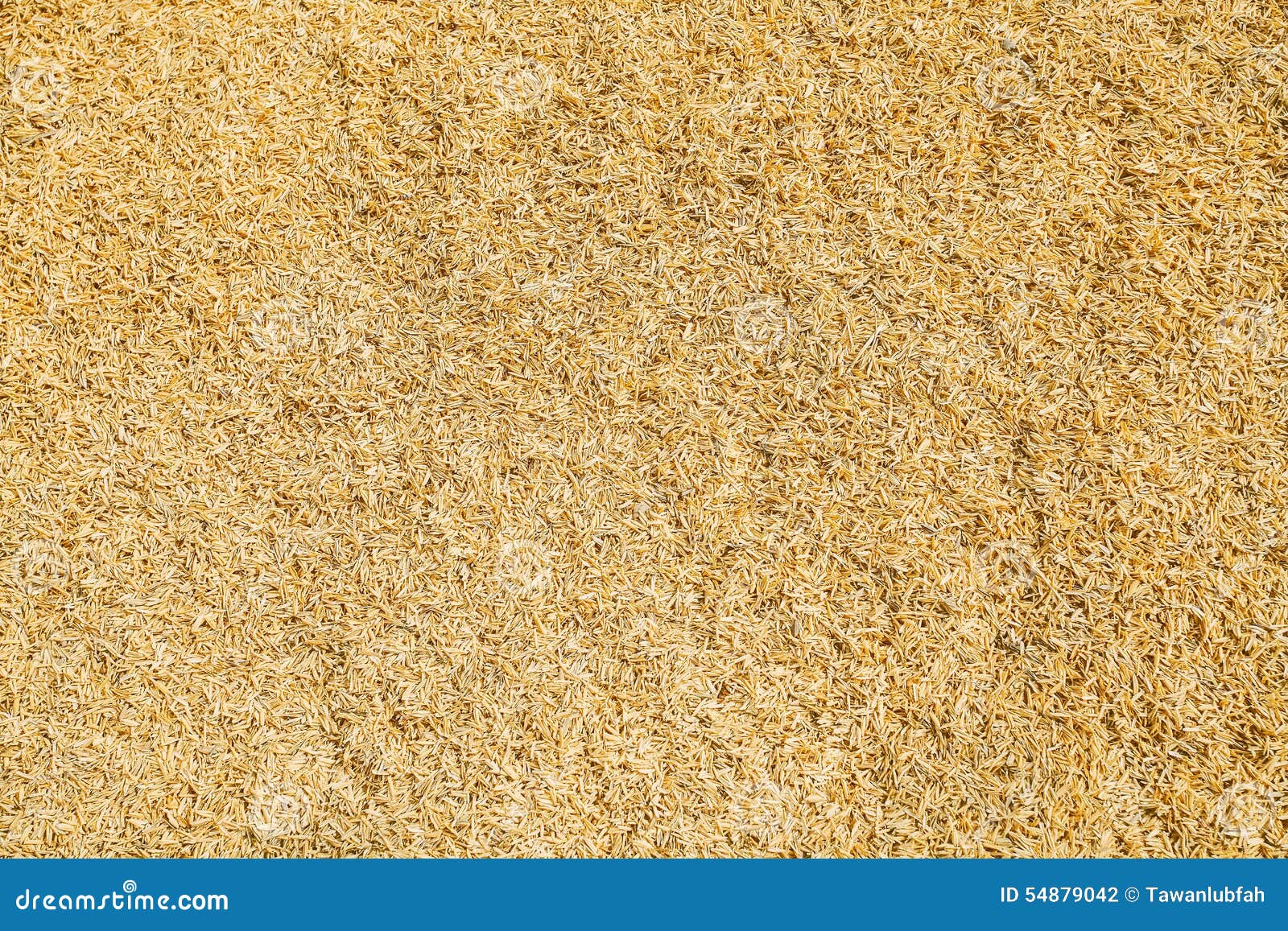 Rice husks stock photo. Image of peel, abstract, husks - 54879042