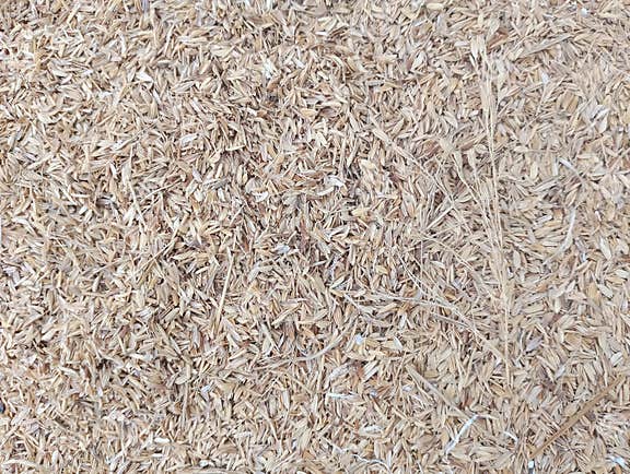Rice husks stock photo. Image of close, country, farm - 315958136