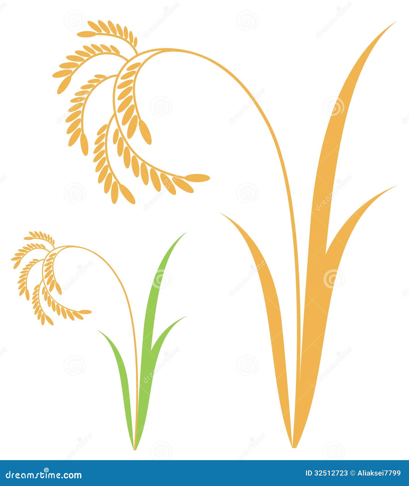 Rice Grain Vector