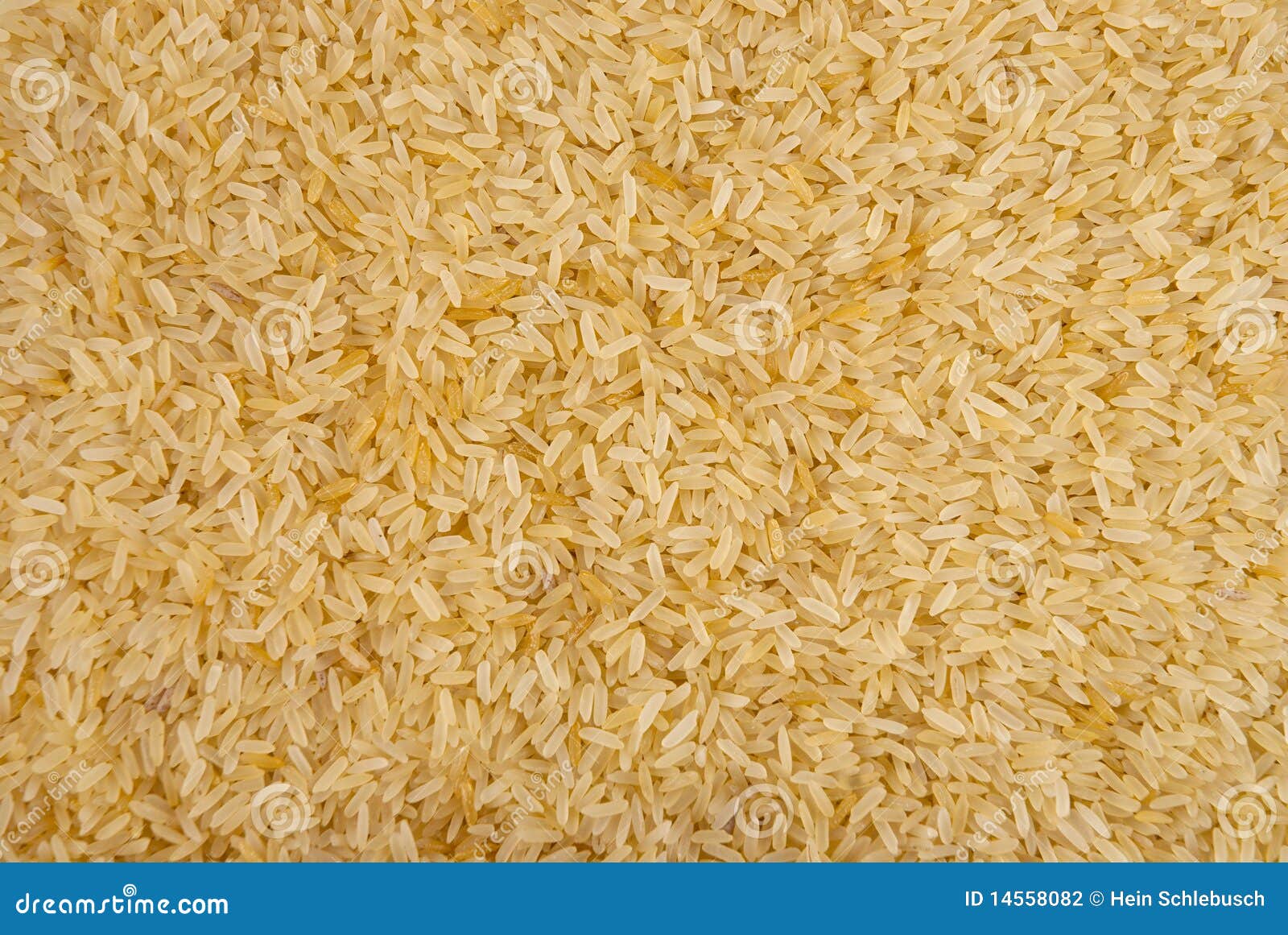 Rice Kernels Filling the Frame Stock Photo - Image of japanese, macro ...