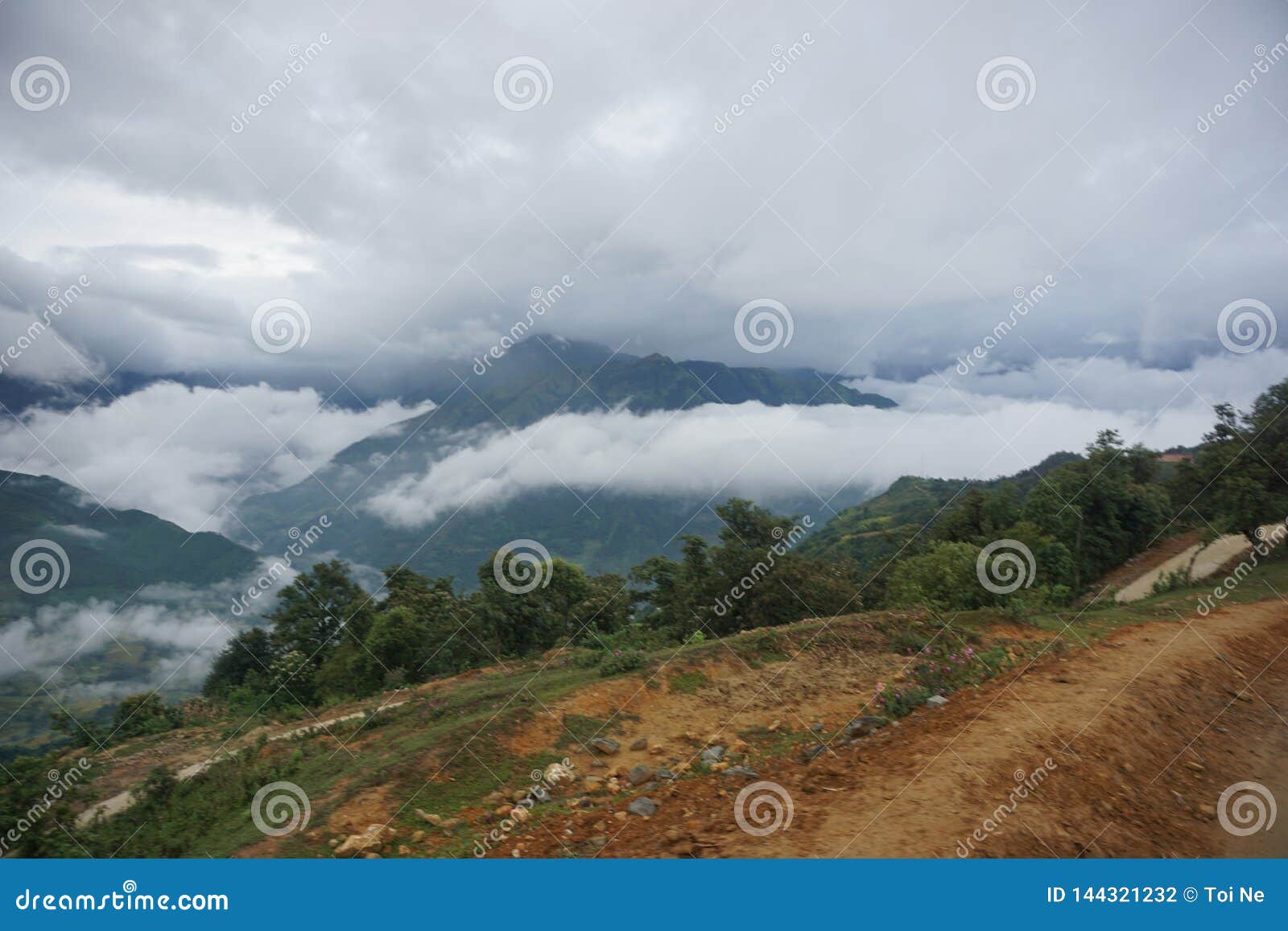 Rice ladder field stock photo. Image of hilly, hill - 144321232