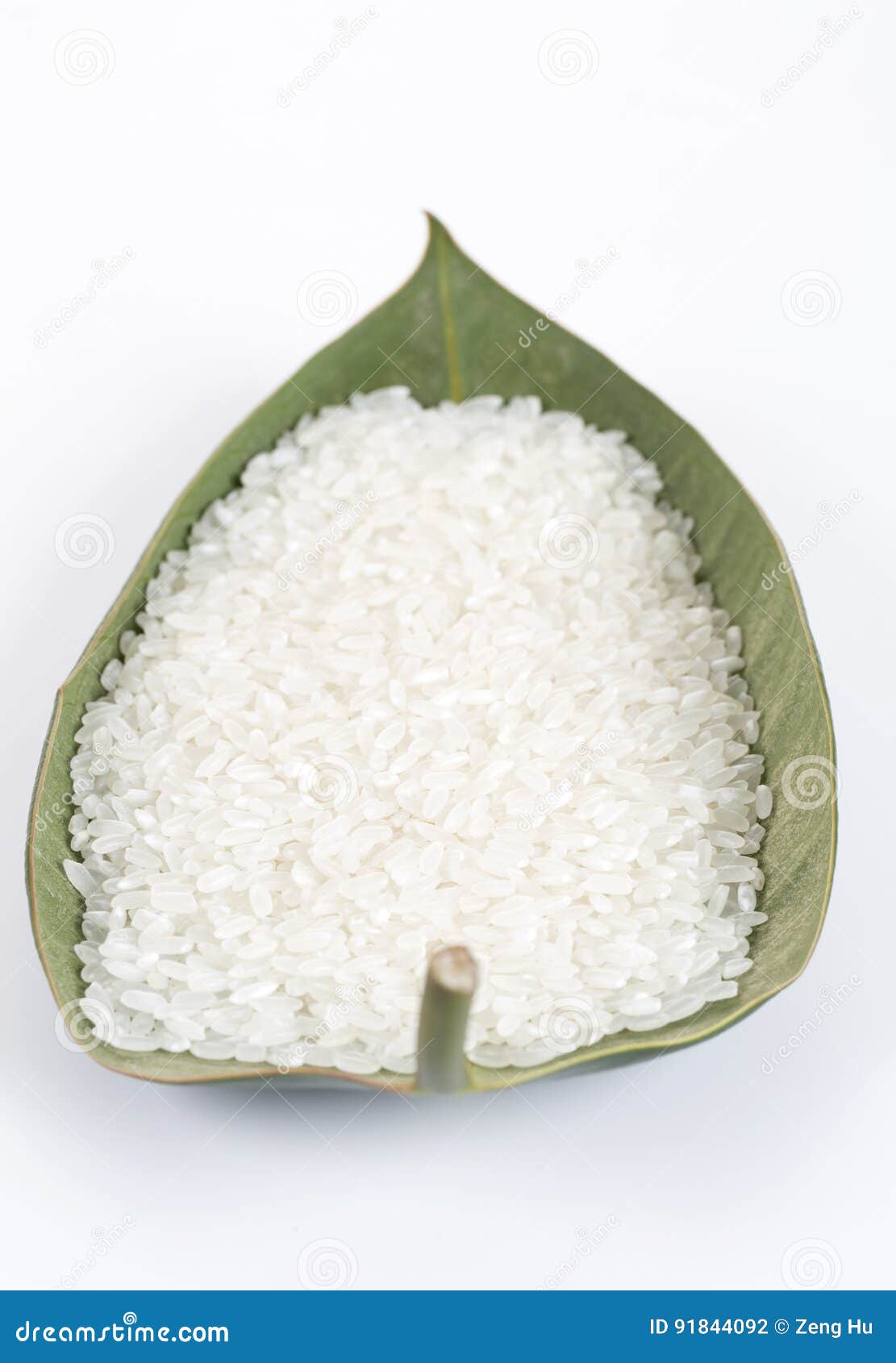 Rice and leaf stock photo. Image of asian, diet, ingredient - 91844092