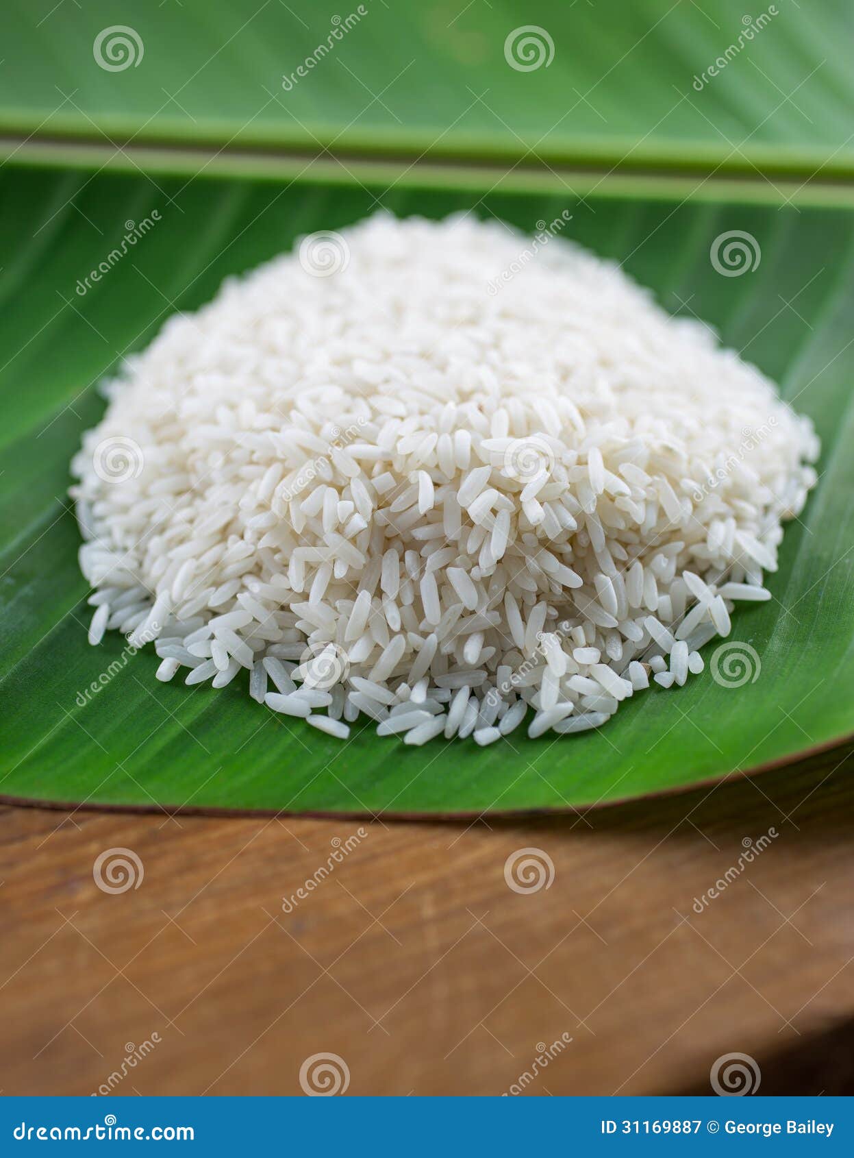 Rice on leaf stock image. Image of cereal, vertical, blur - 31169887
