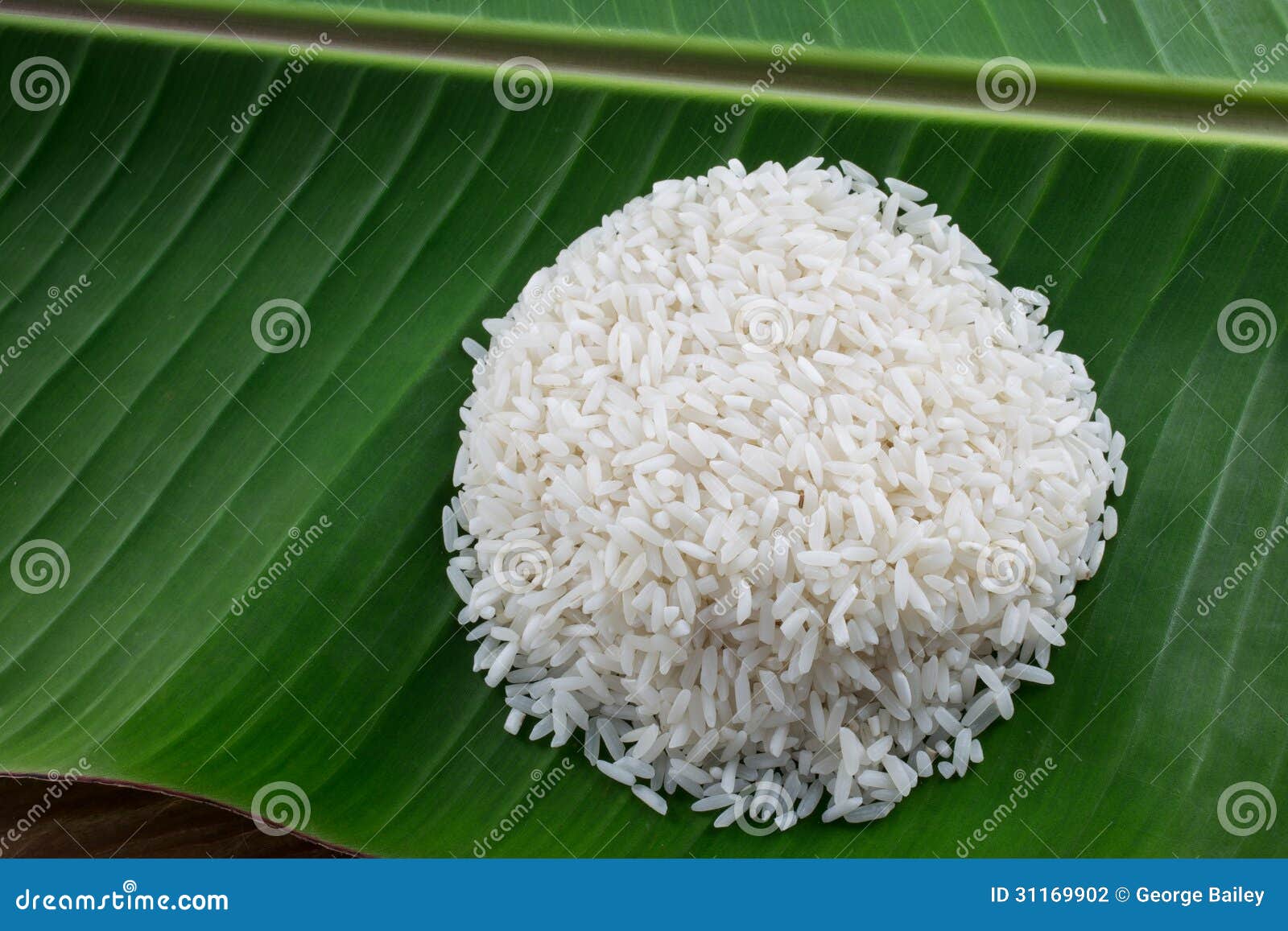 Rice on leaf stock photo. Image of texture, plant, commodity - 31169902