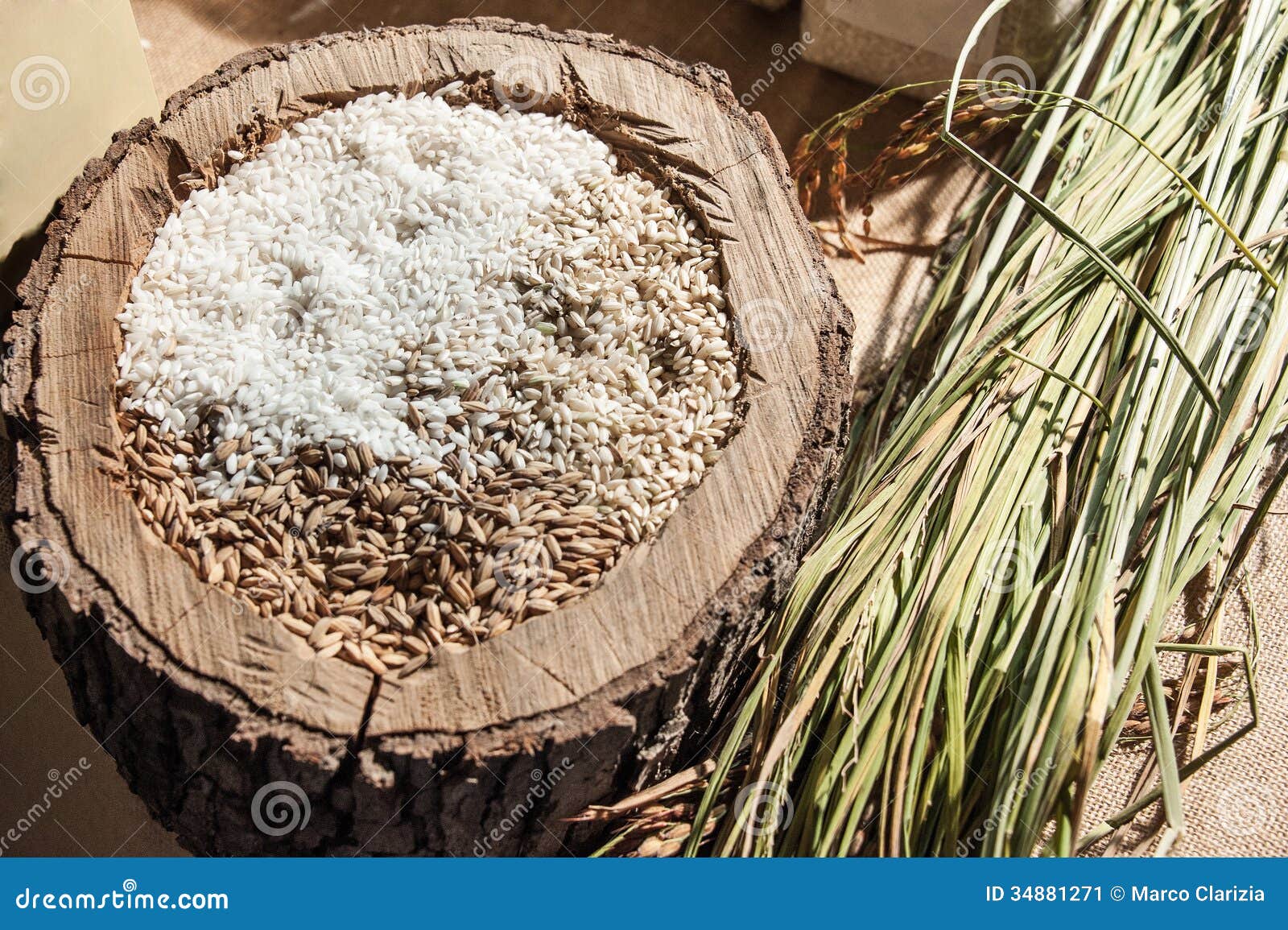 Rice in the log stock image. Image of rice, farm, uncooked - 34881271