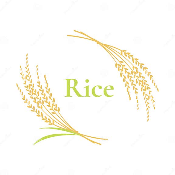 Rice Logo Design on White Background, Vector Stock Vector ...