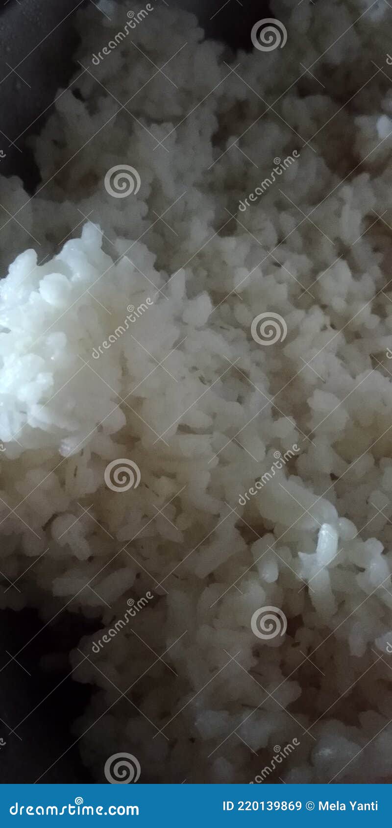 Rice that Looks Good To the Eye Stock Image - Image of rice, looking ...