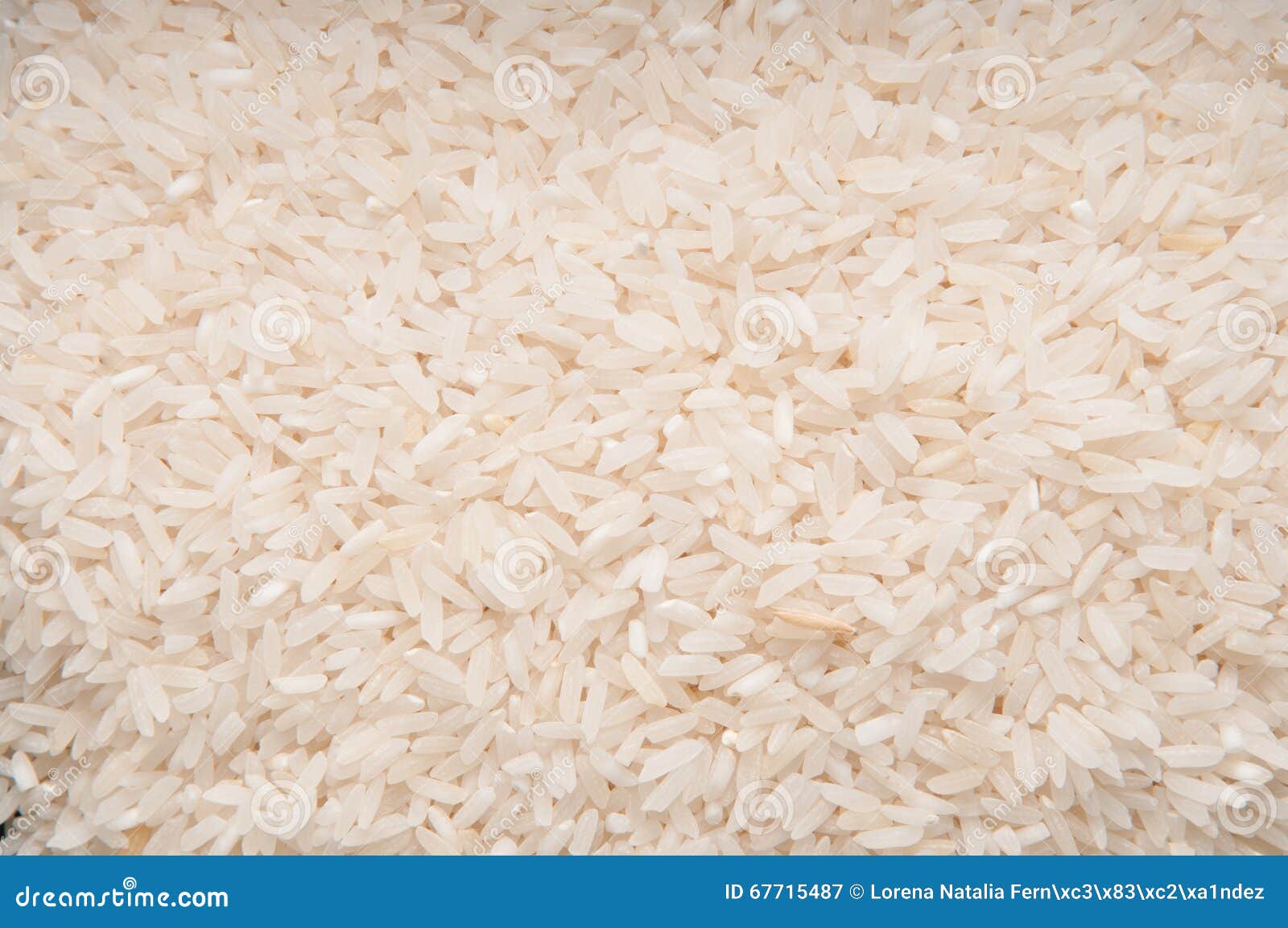 Rice stock image. Image of dinner, healthy, heap, concept - 67715487