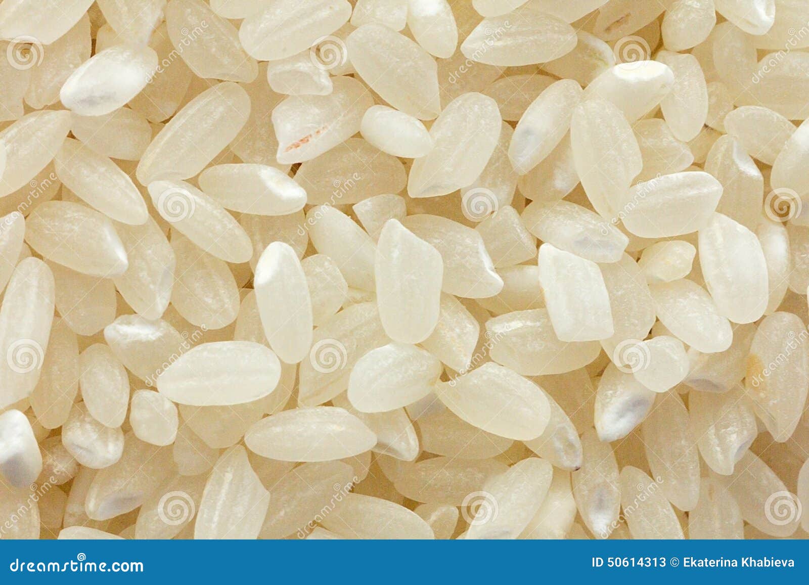 Rice macro stock image. Image of grain, white, vegetarian - 50614313