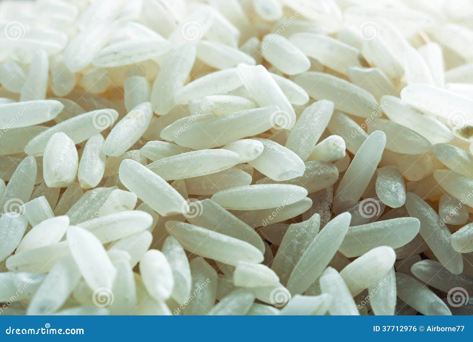 Rice- macro shot stock photo. Image of grain, china, asia - 37712976