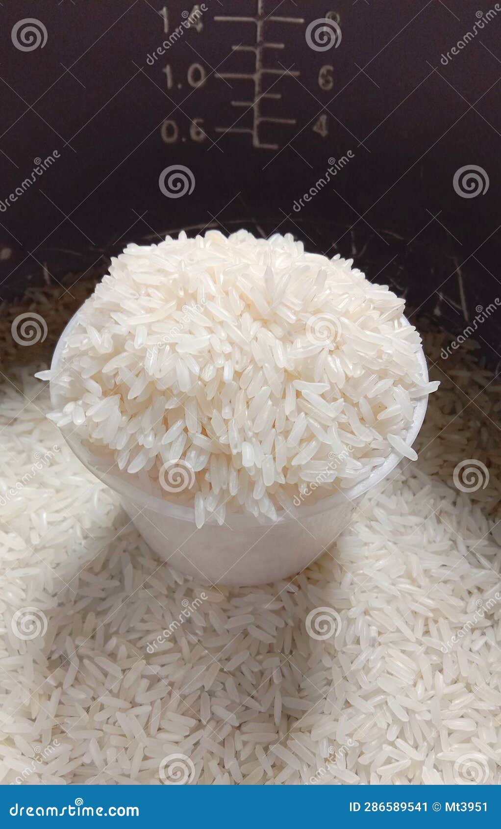 Rice in a Measuring Cup before Cooking Stock Image - Image of textile ...