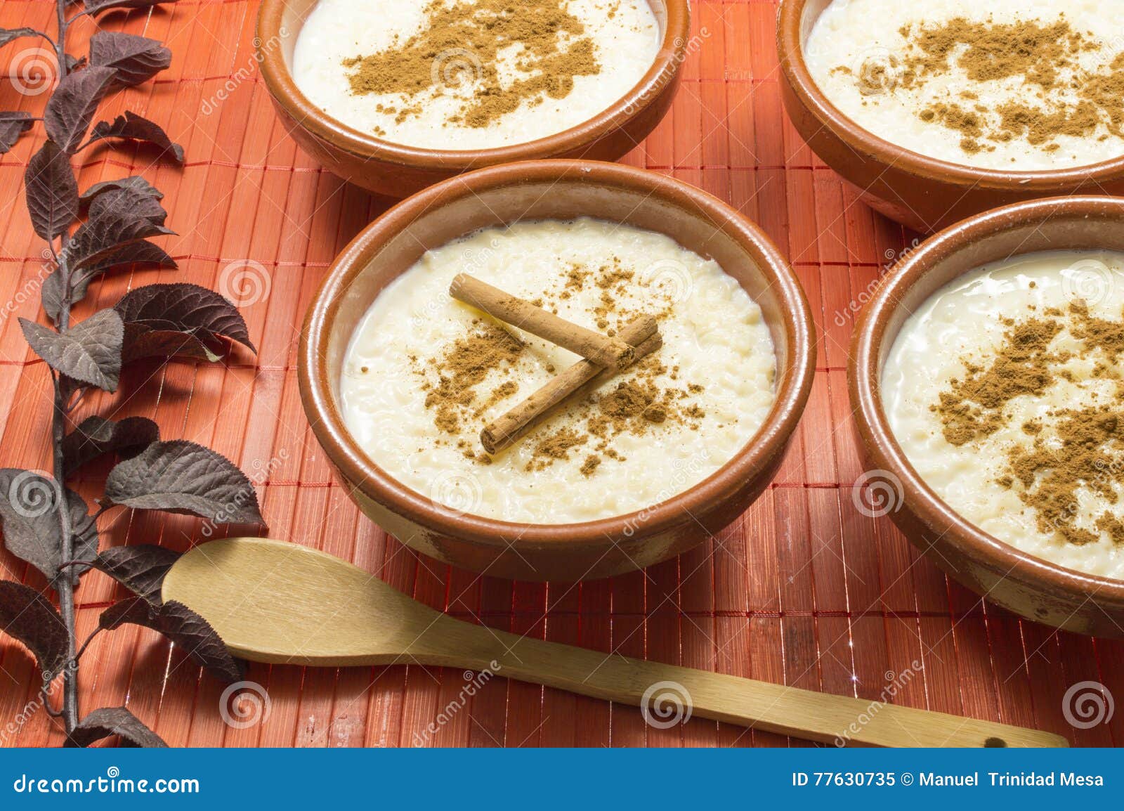 Rice with milk stock image. Image of gruel, homemade - 77630735
