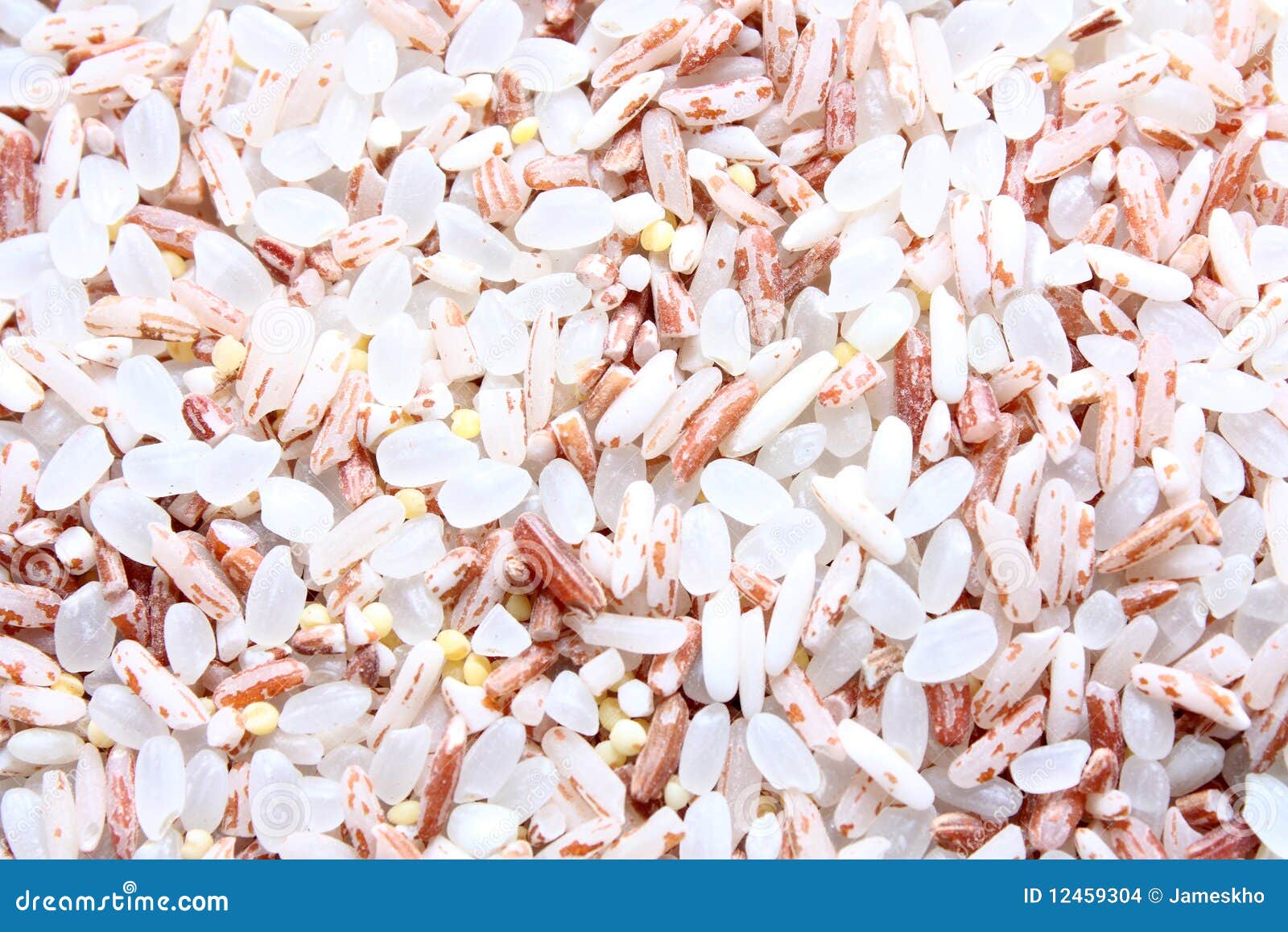 Rice and Millet stock photo. Image of healthy, asian - 12459304