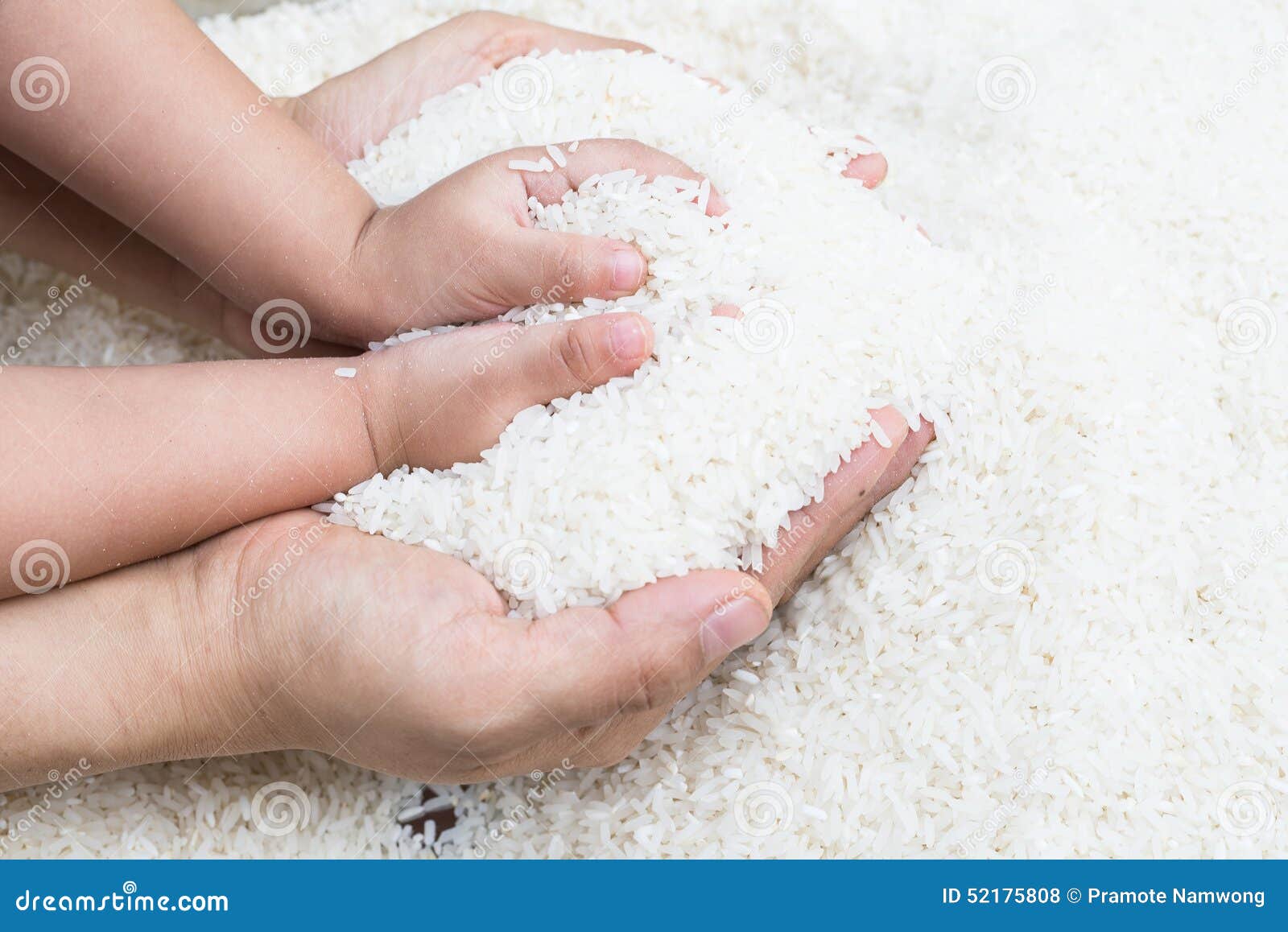 Rice with Mother and Baby Hand Stock Photo - Image of agriculture ...