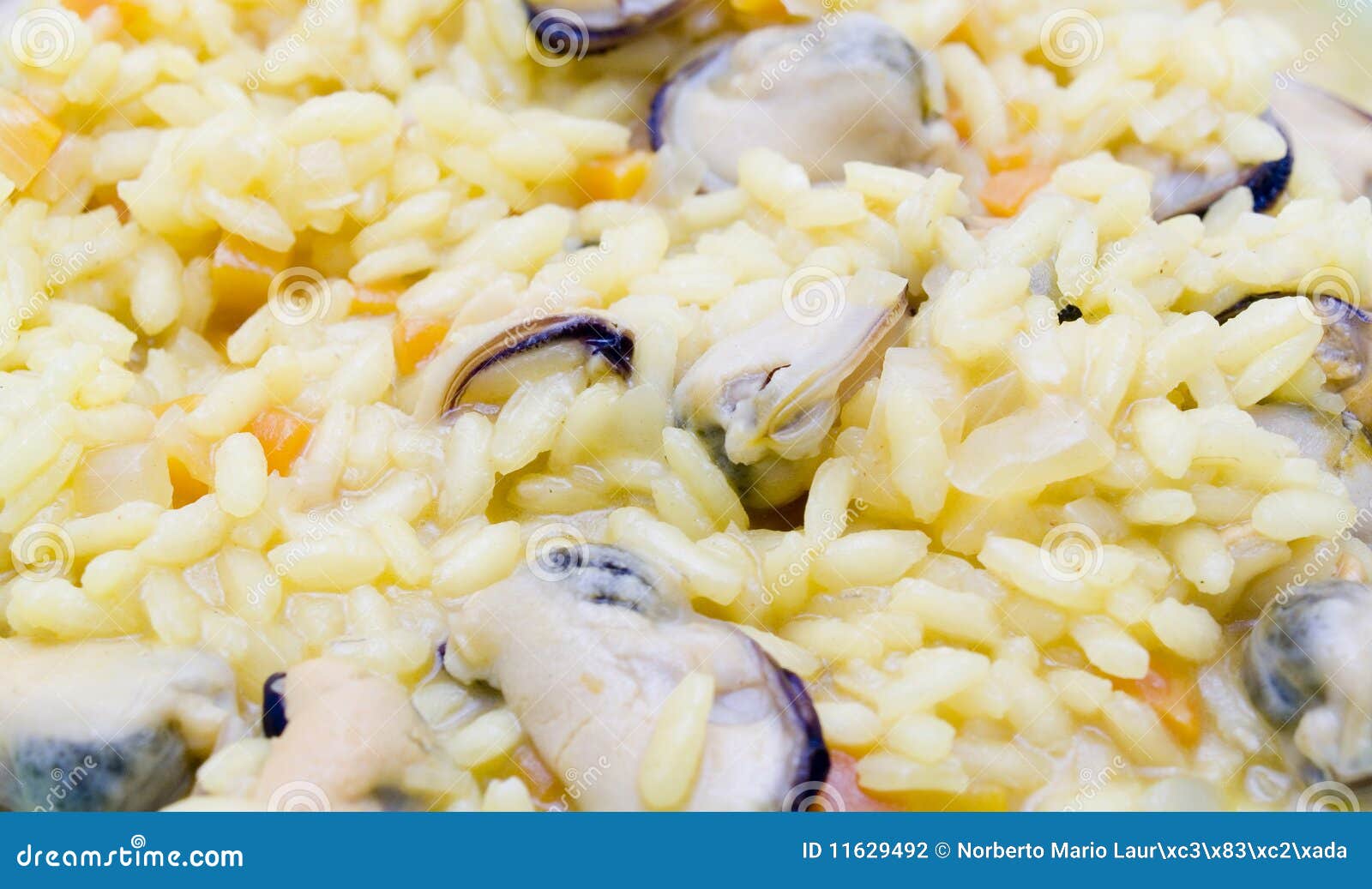 Rice with mussels stock photo. Image of rice, food, gourmet - 11629492