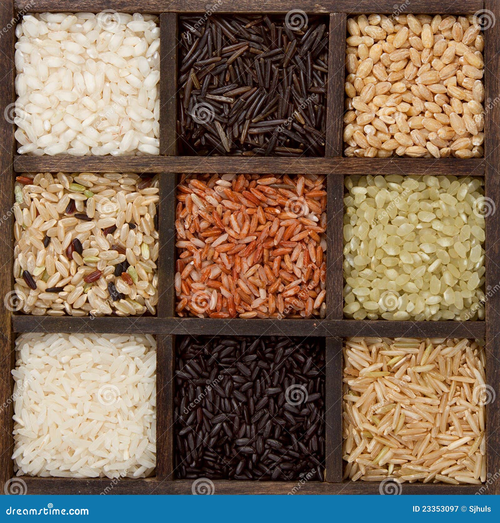 Rice Varieties Realistic Collection Cartoon Vector | CartoonDealer.com ... Rice Varieties Realistic Collection Cartoon Vector | CartoonDealer.com ...