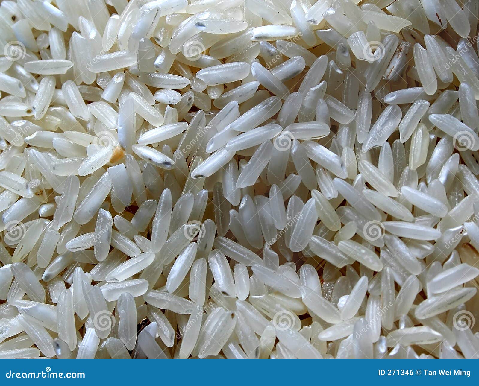 Rice, Oh Rice stock photo. Image of rice, harvest, ingredient - 271346