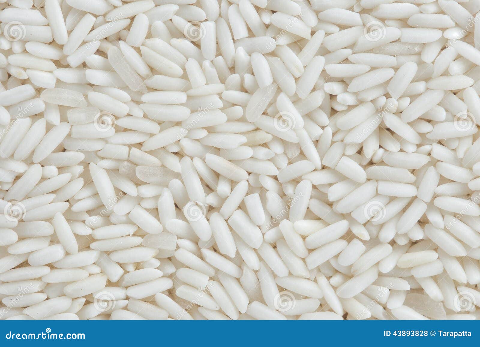 Rice Packed in Vacuumed Plastic Bag Stock Photo - Image of ground, cook ...