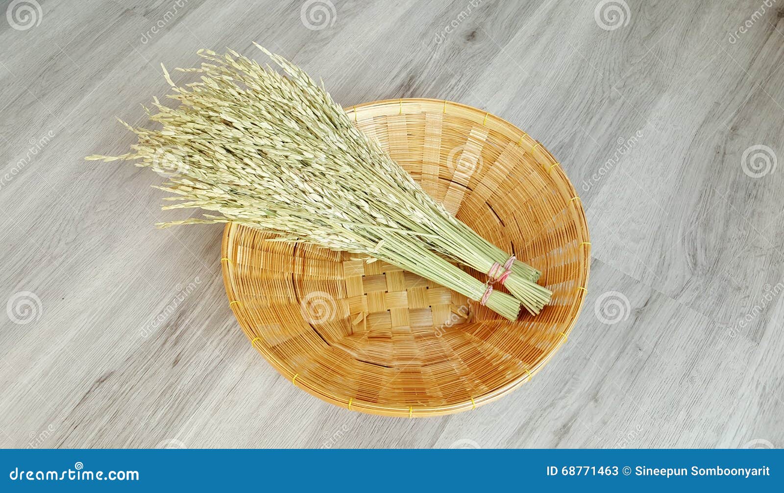Rice paddy grain stock image. Image of woven, timber - 68771463