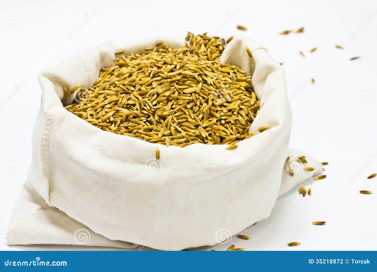 Rice paddy stock photo. Image of cereal, crop, group - 35218872