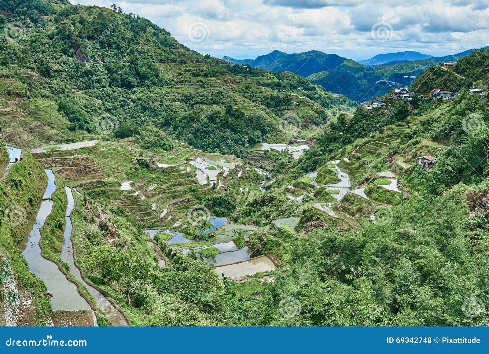 Rice Paddy Terrace Fields Philippines Stock Photo - Image of travel ...