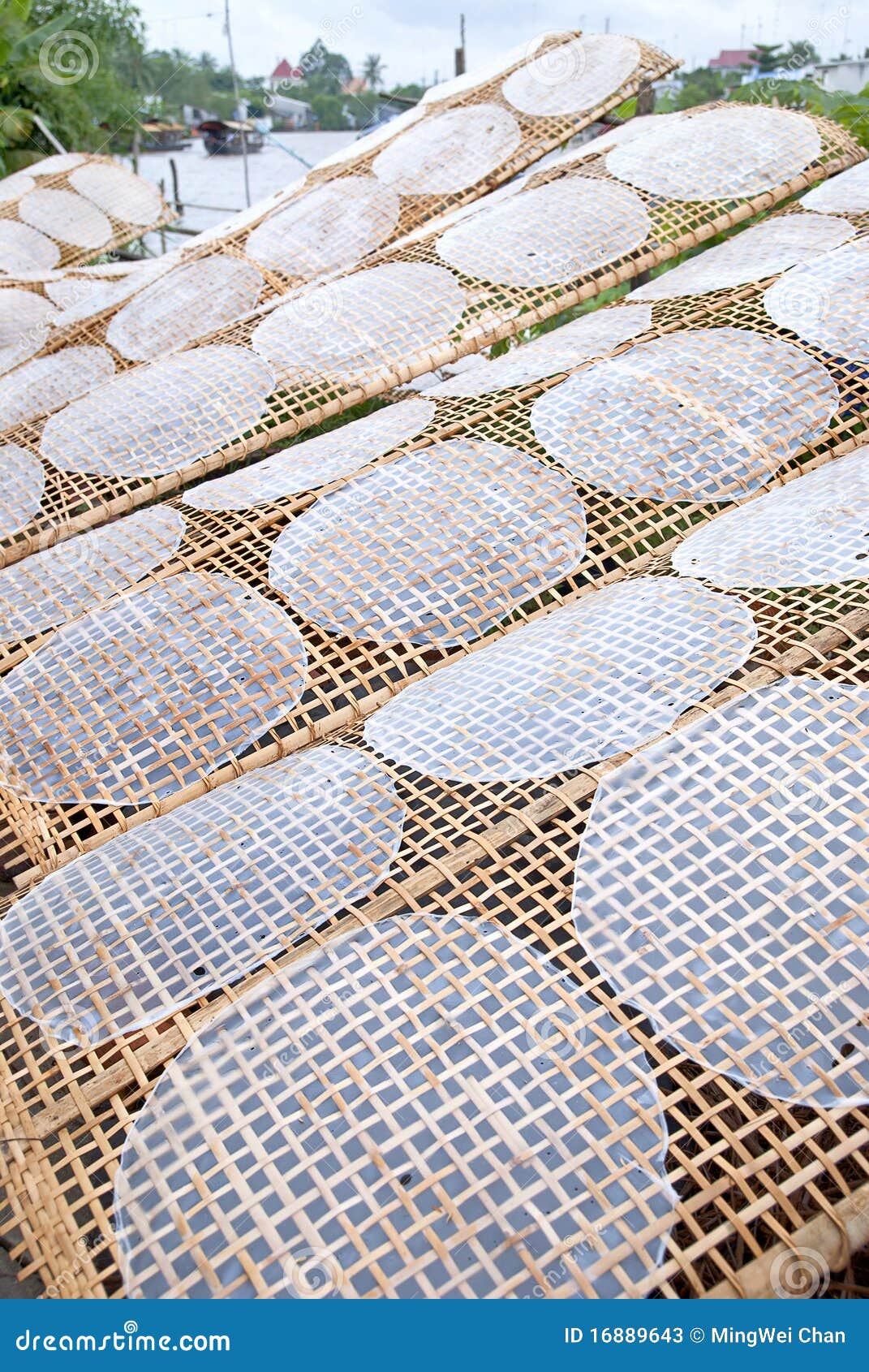 Rice Paper stock image. Image of nature, vietnamese, snack - 16889643