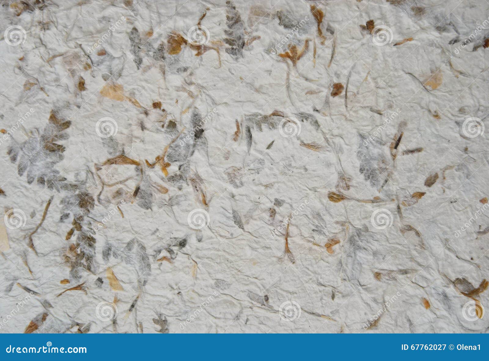 Rice Paper with Added Grass Stock Image - Image of rice, background ...