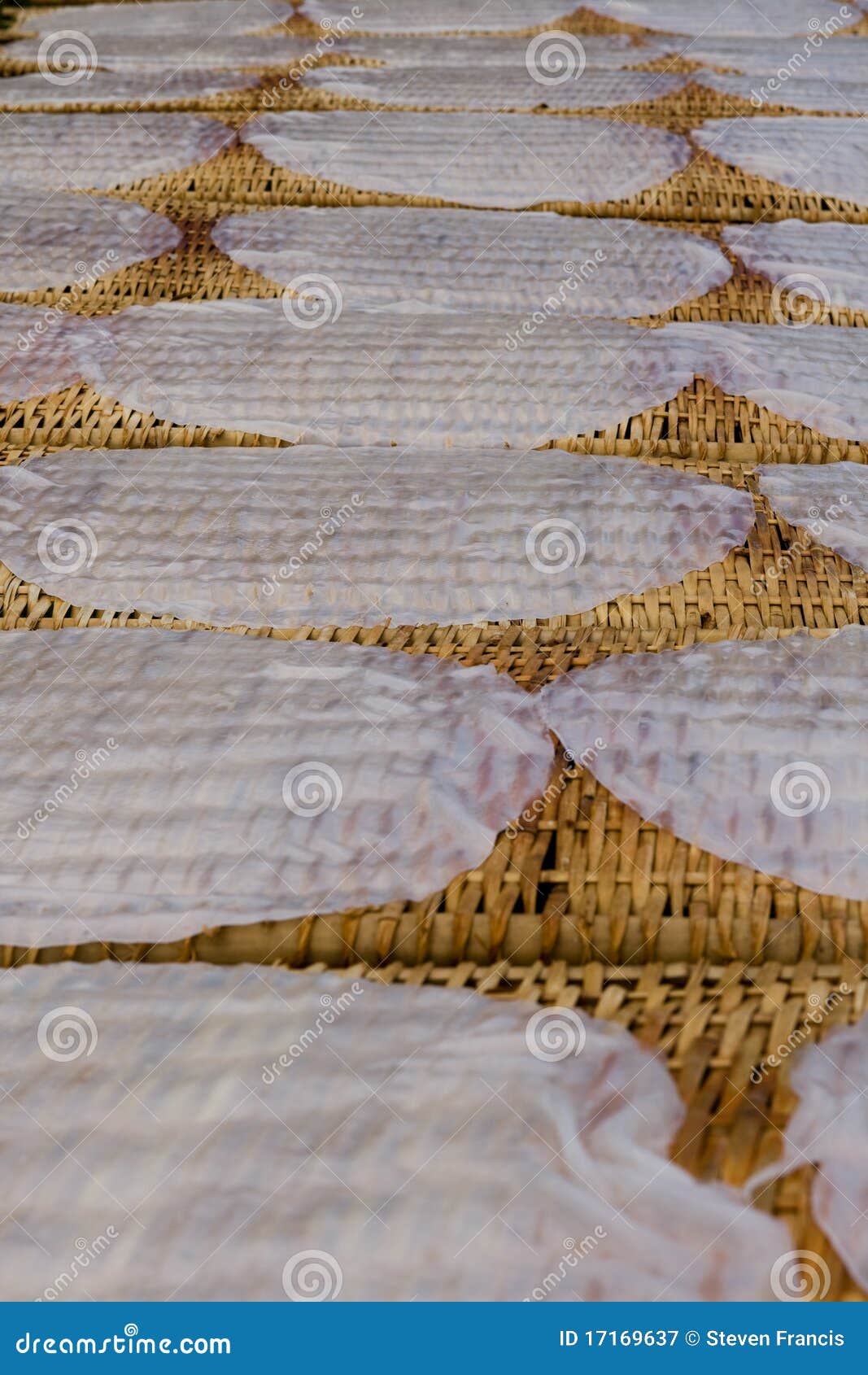 Rice Paper Drying stock image. Image of thin, transparent - 17169637