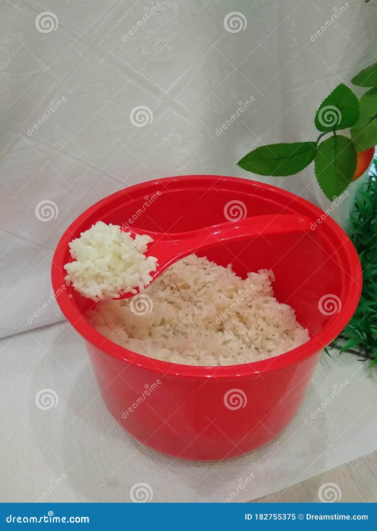 Rice Is A Source Of Useful And Nutritious Components Stock Image