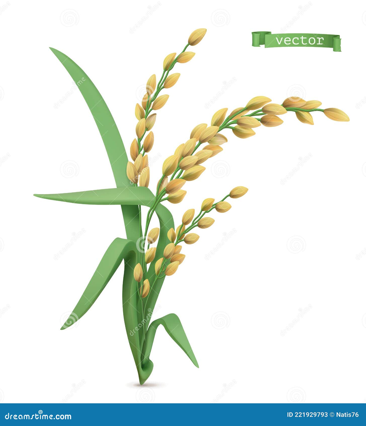 Rice Plant. 3d Realistic Icon Stock Vector - Illustration of icon ...