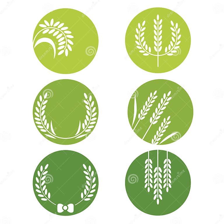 Rice plant icon stock illustration. Illustration of harvest - 328441849