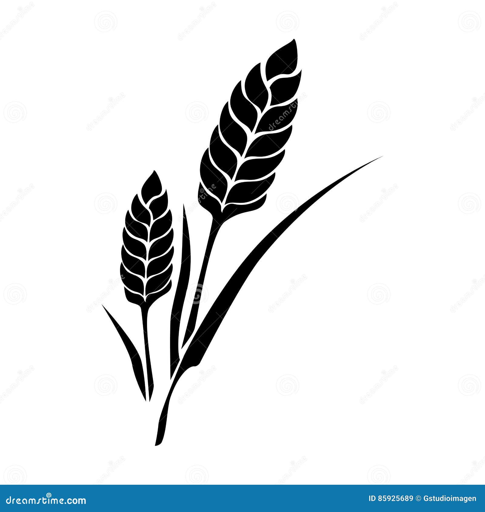 Rice plant isolated icon stock vector. Illustration of agriculture ...