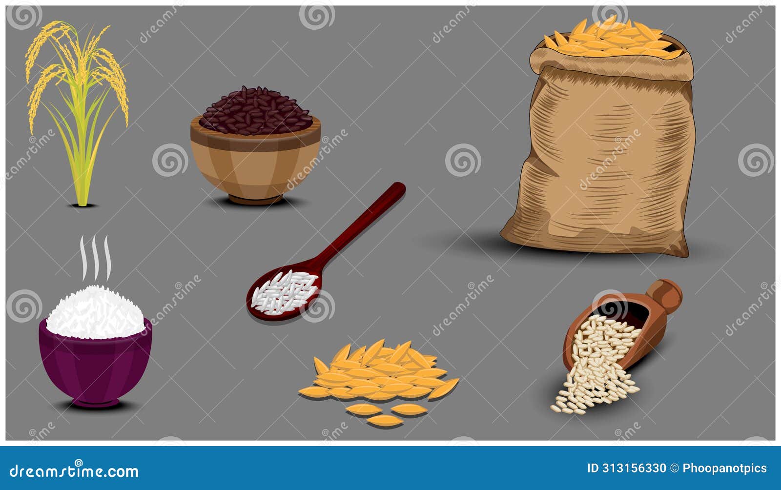 Rice Plant and Kind of Rice Vector Design. Stock Vector - Illustration ...