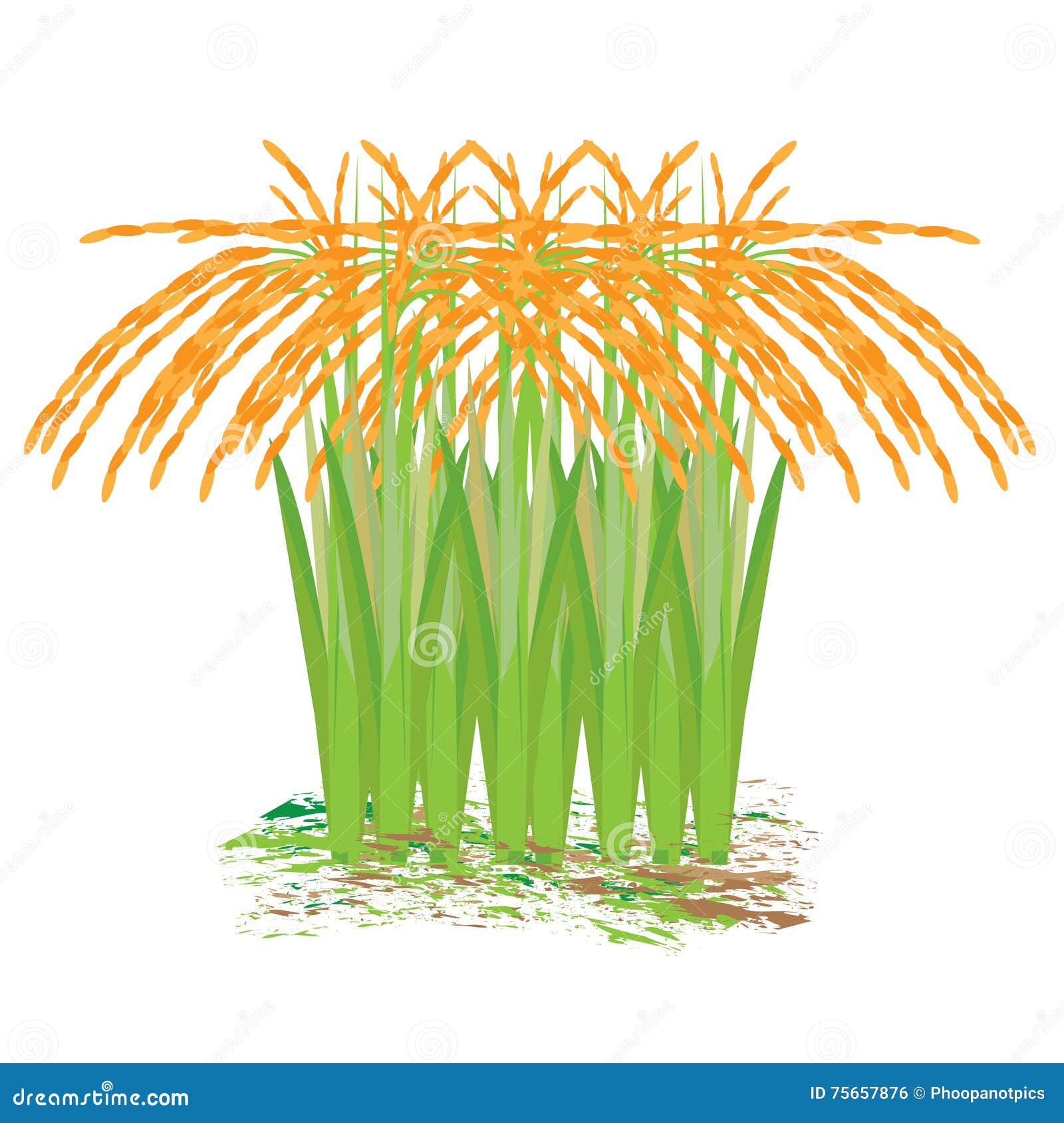 Rice Plant Clip Art