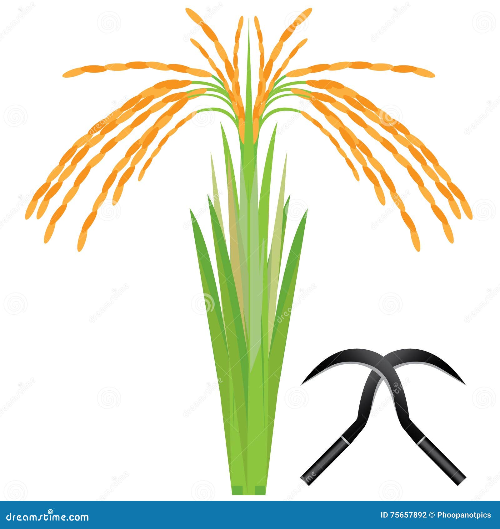 Rice plant stock vector. Illustration of outline, mountain - 75657892