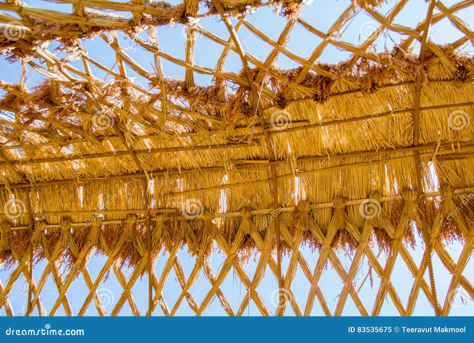 Rice plant roof. stock image. Image of crop, summer, rice - 83535675