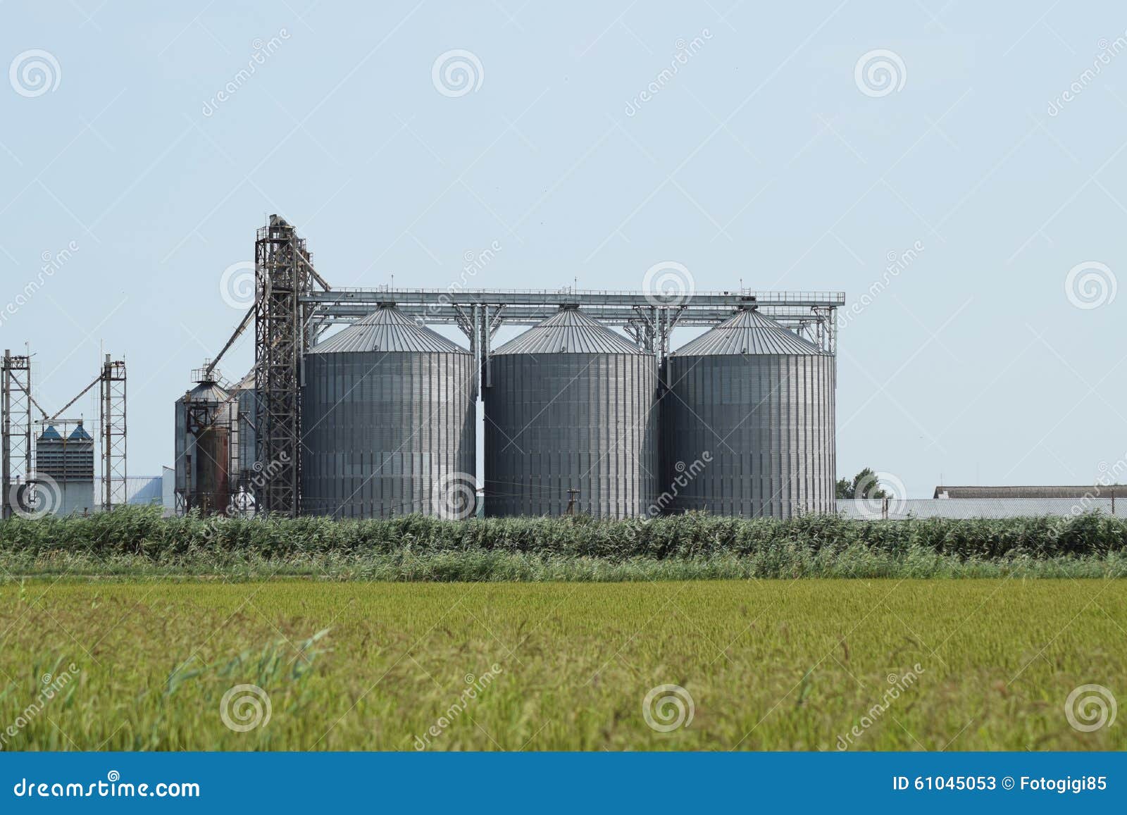 Rice plant stock image. Image of building, industrial - 61045053