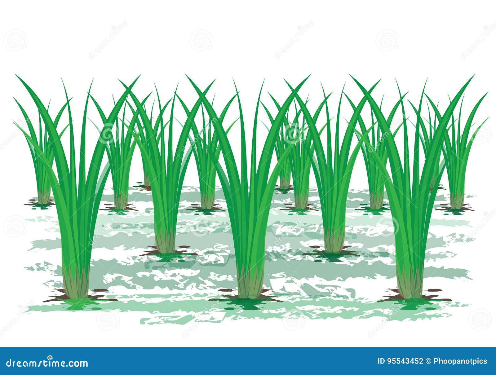 Rice plant stock vector. Illustration of vector, leaf - 95543452